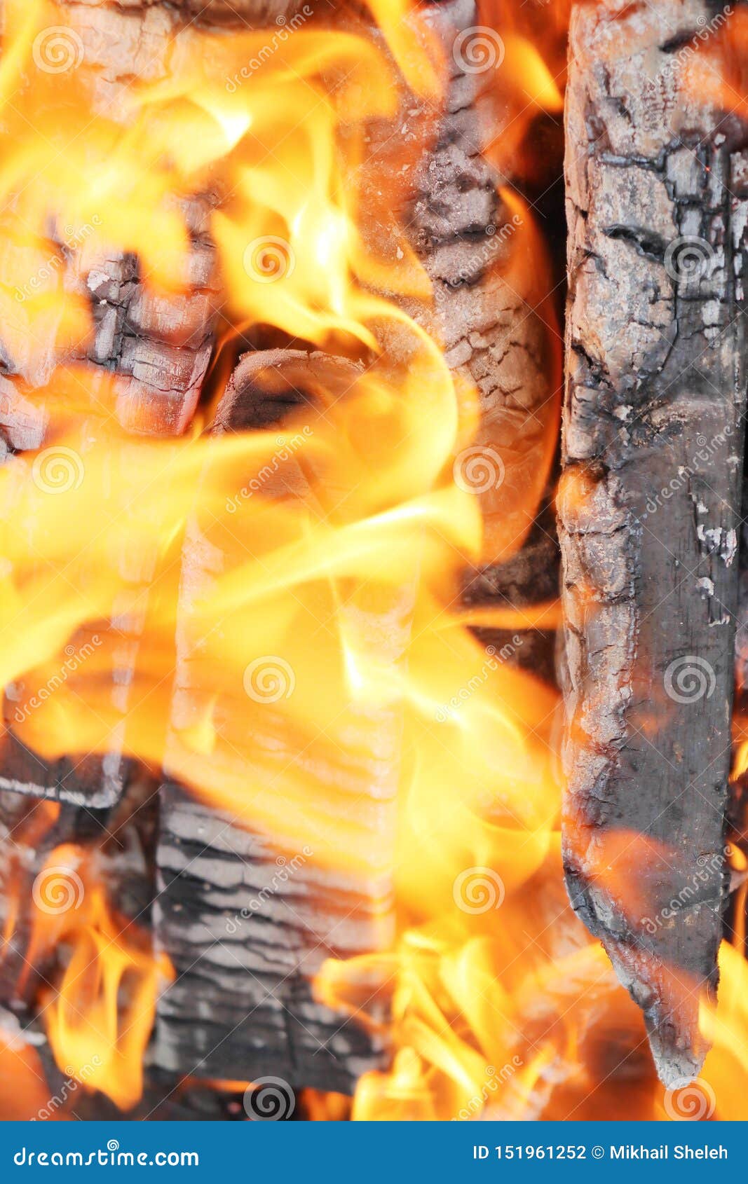 Fascinating Orange Flame of a Fire - the Element on Which You Can Watch ...