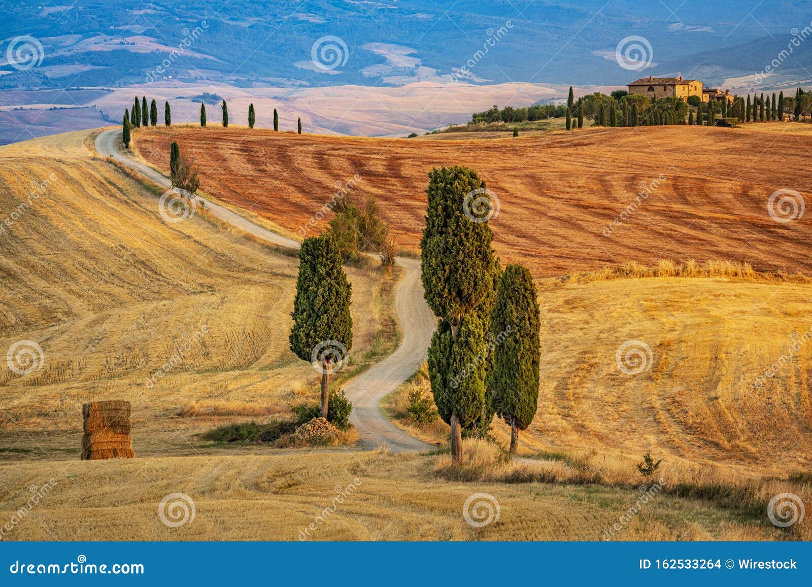 Fascinating Scenery of a Valley with Trees and a Path Leading To an ...