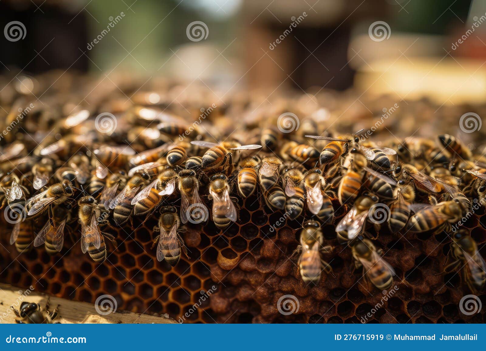 Exploring Daily Life Through Technology: The Experience Of Typing On A ...