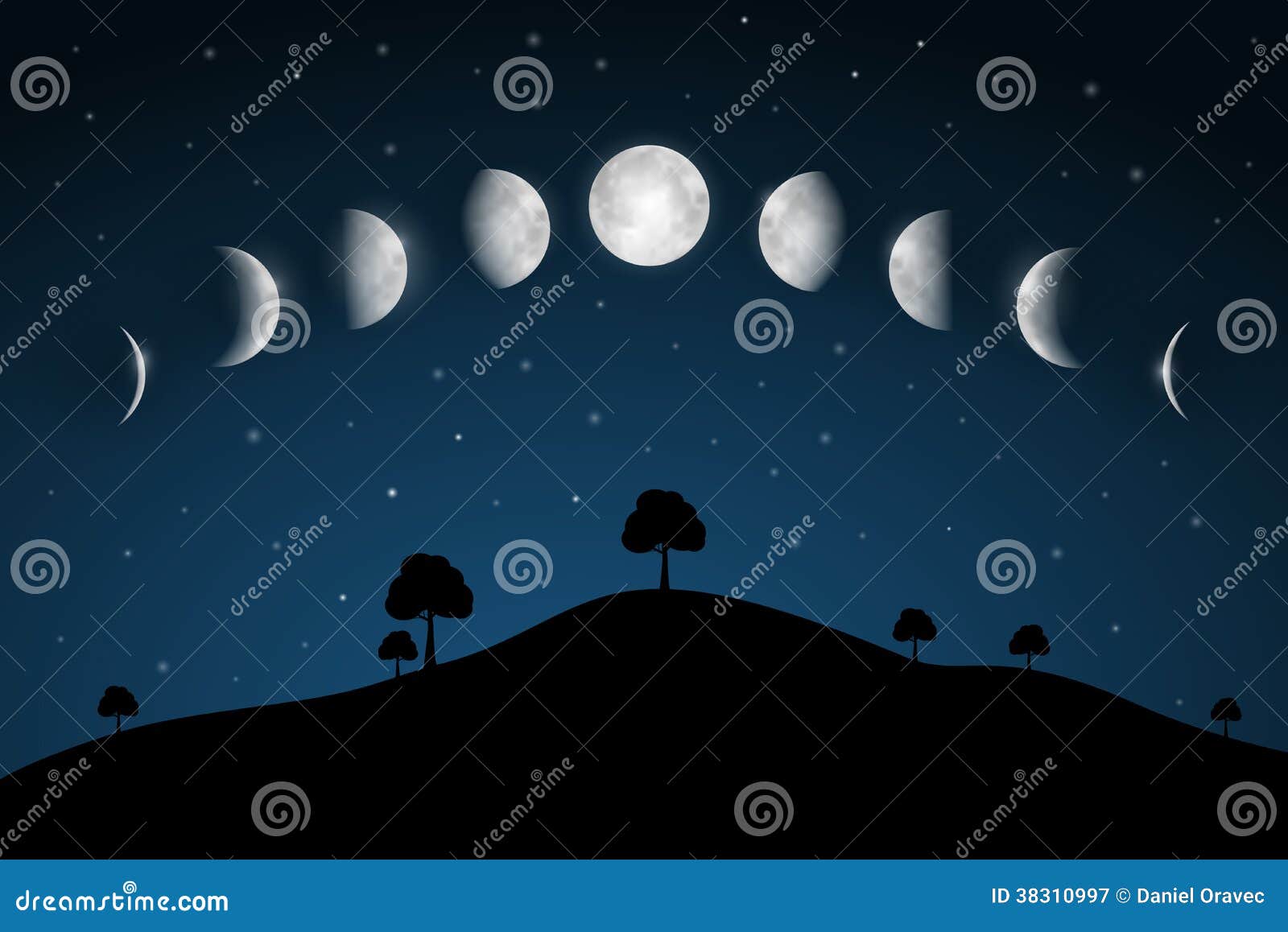 Fases Da Lua - Paisagem Da Noite Ilustração do Vetor - Ilustração de ...
