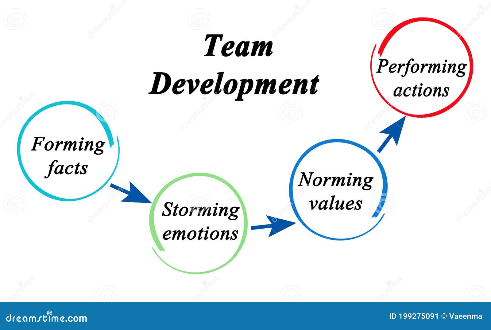 Fases Do Desenvolvimento De Equipe Imagem de Stock - Imagem de fatos ...
