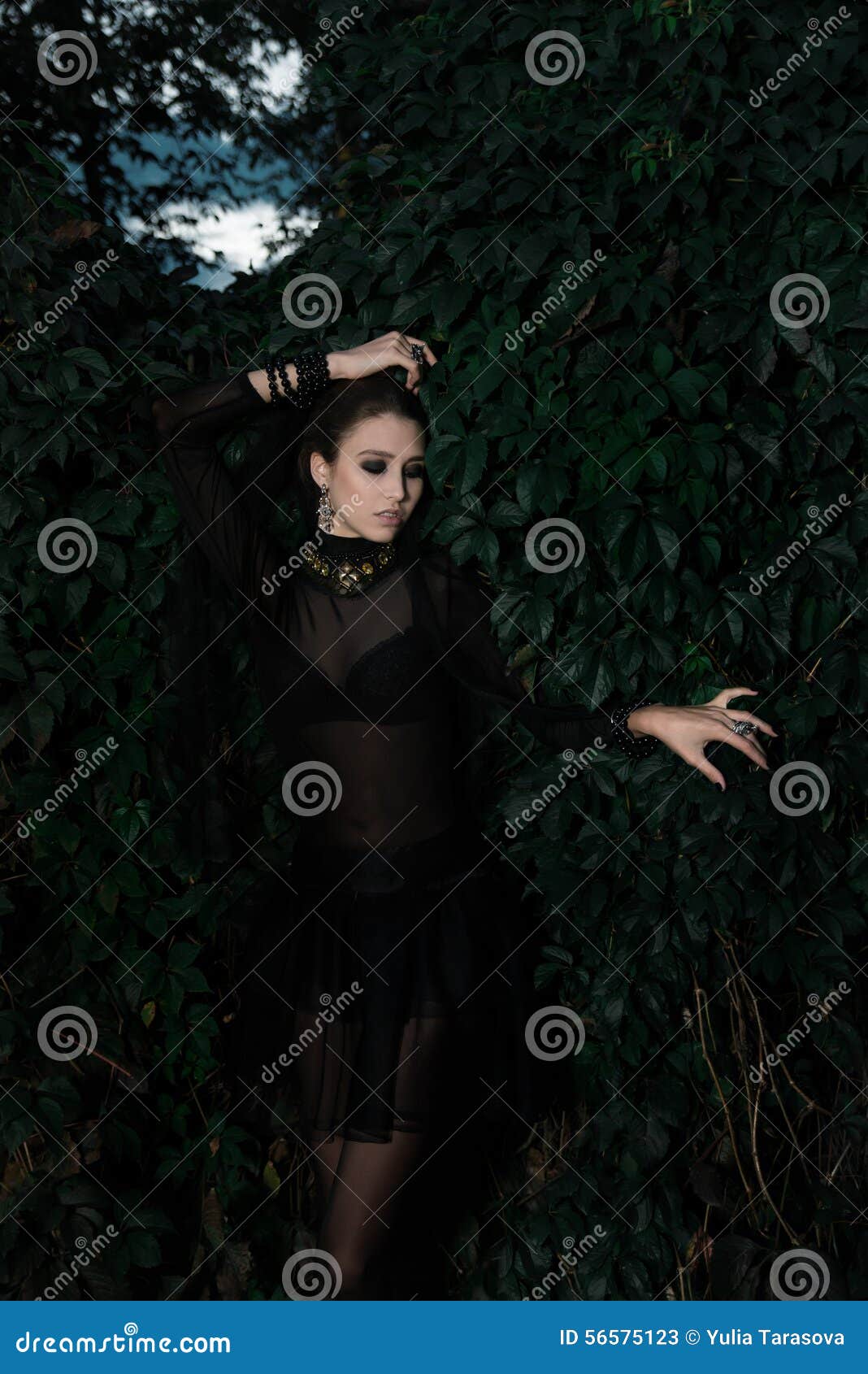 Fashiom Model Dressed in Gothic Style. Vamp. Stock Image - Image of ...