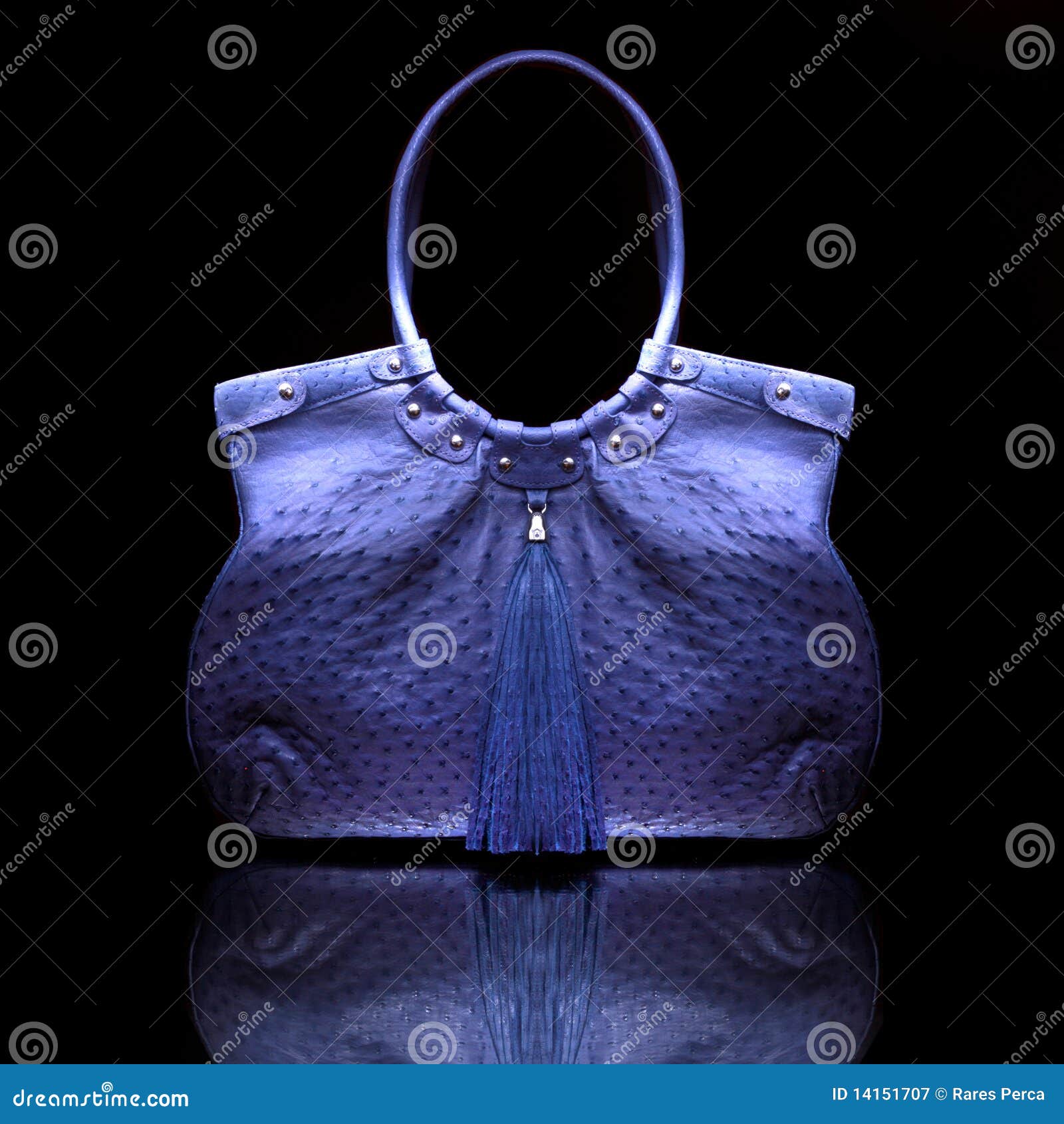 Fashion Accessory stock image. Image of luxury, purse - 14151707