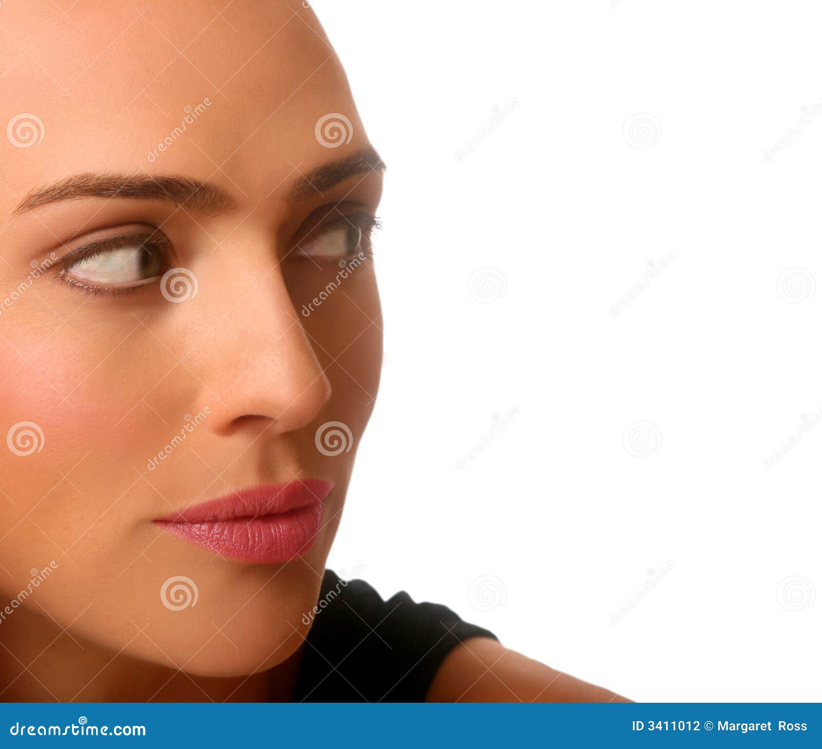 Fashion Face stock photo. Image of isolation, regal, portrait - 3411012