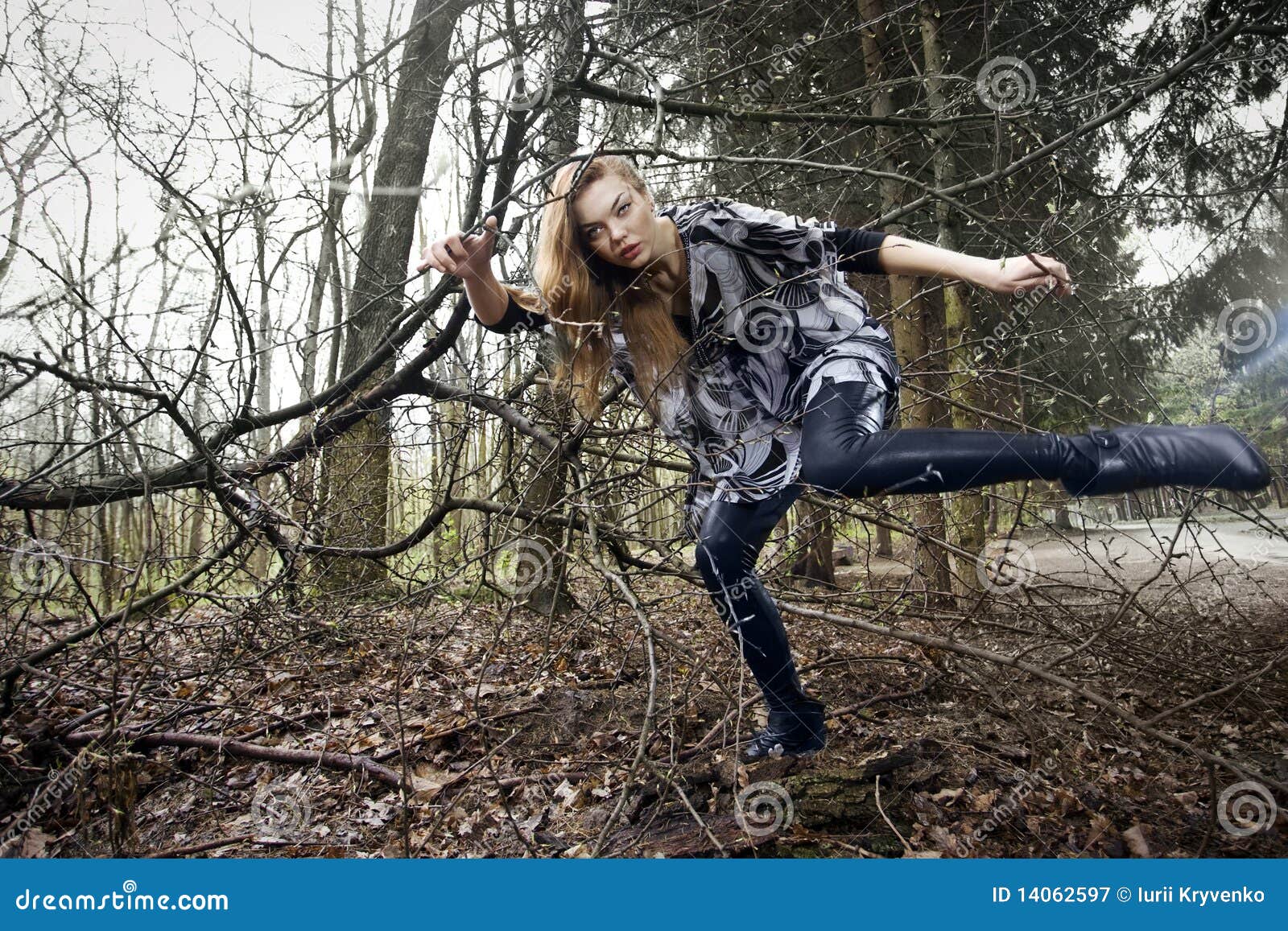 Fashion in forest stock image. Image of female, fine - 14062597