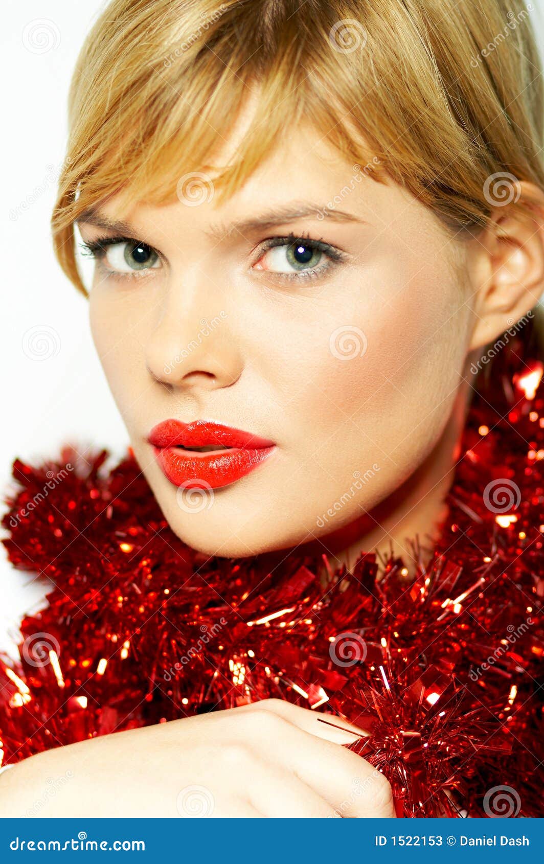Fashion Lady stock image. Image of christmas, health, fresh - 1522153