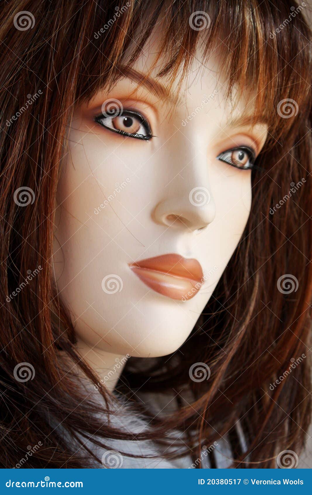 Fashion Mannequin stock image. Image of clothes, fashion - 20380517