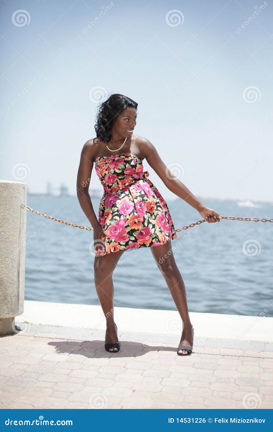 Fashion model stock photo. Image of style, pulling, lady - 14531226