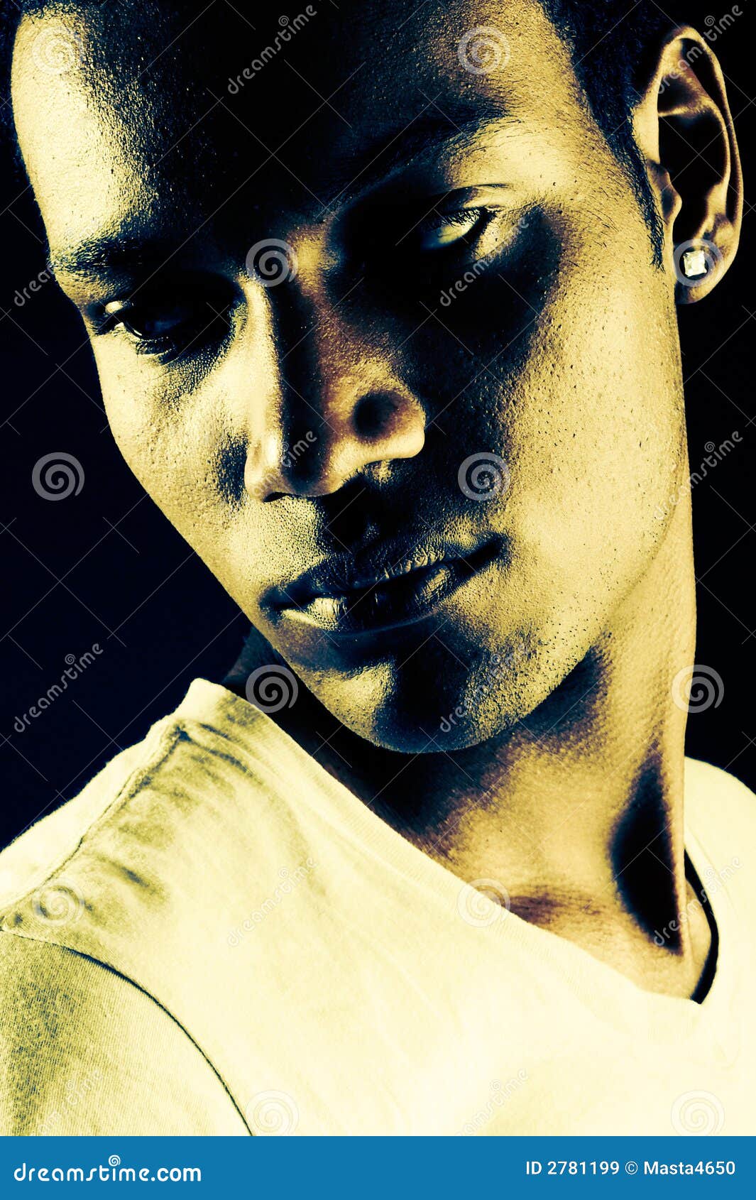 Fashion Model stock image. Image of intimidating, hair - 2781199