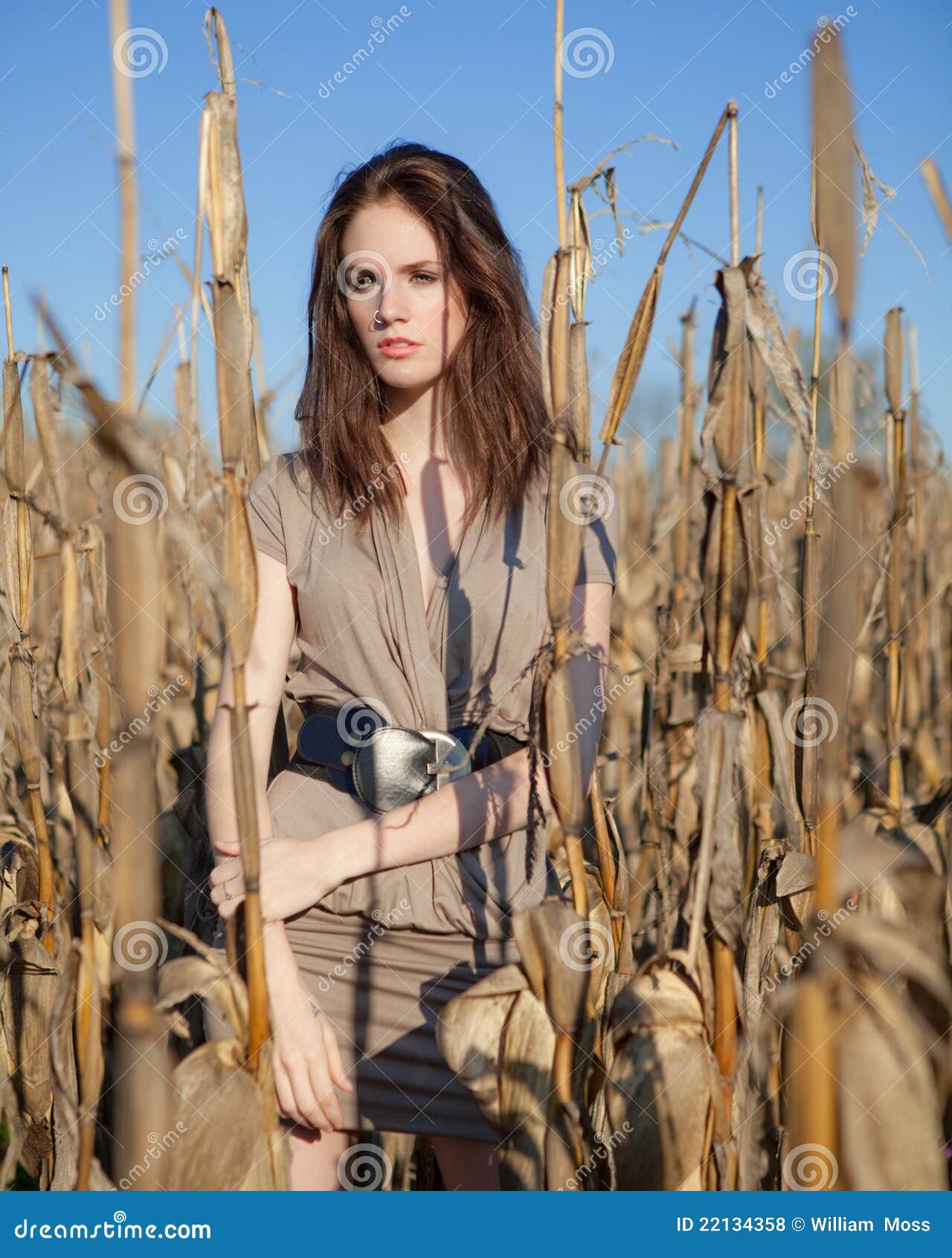 694 Fashion Model Corn Field Stock Photos - Free & Royalty-Free Stock ...