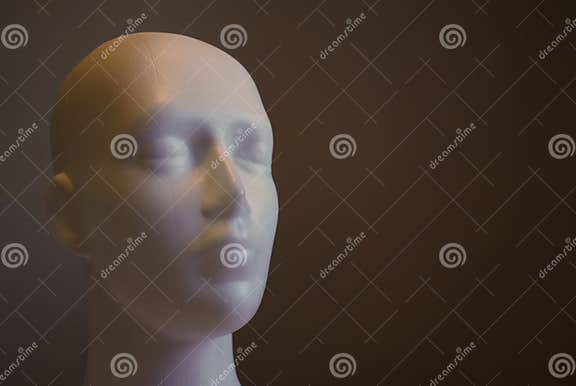 Fashion model white bust stock image. Image of blank, collection - 7254497