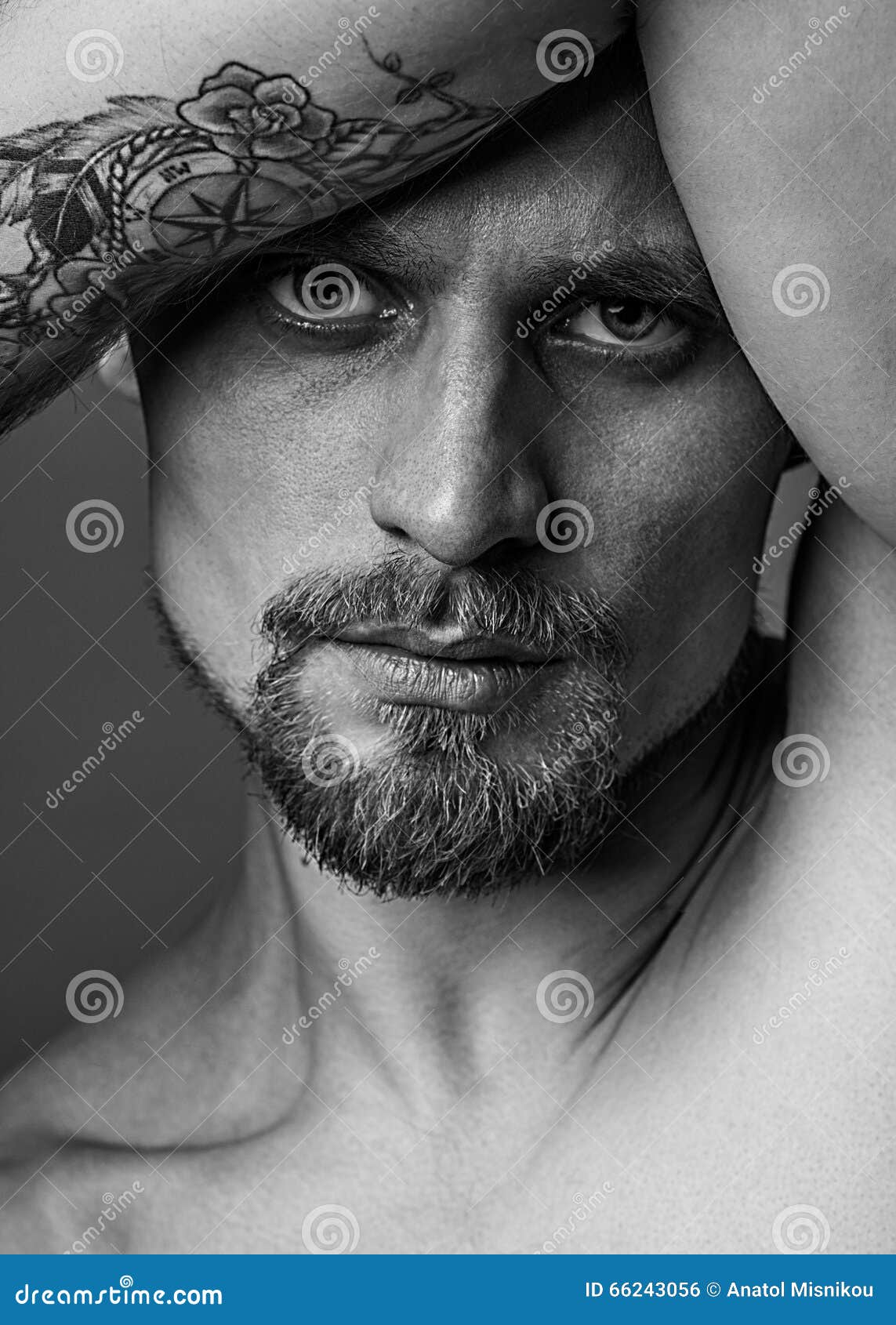 Fashion Shot of a Macho Man Stock Photo - Image of hair, good: 66243056