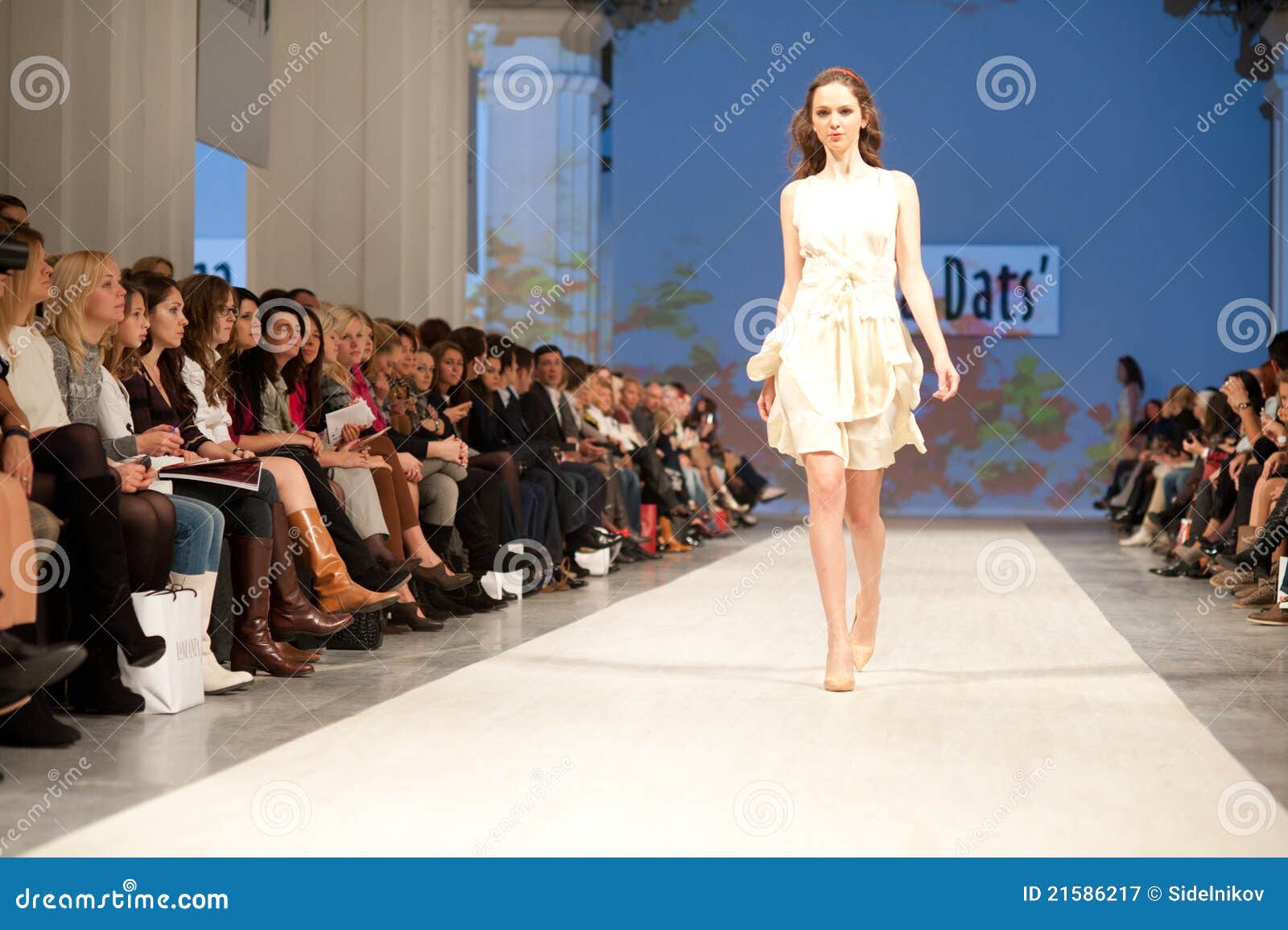 Fashion show editorial photography. Image of figure, luxurious - 21586217