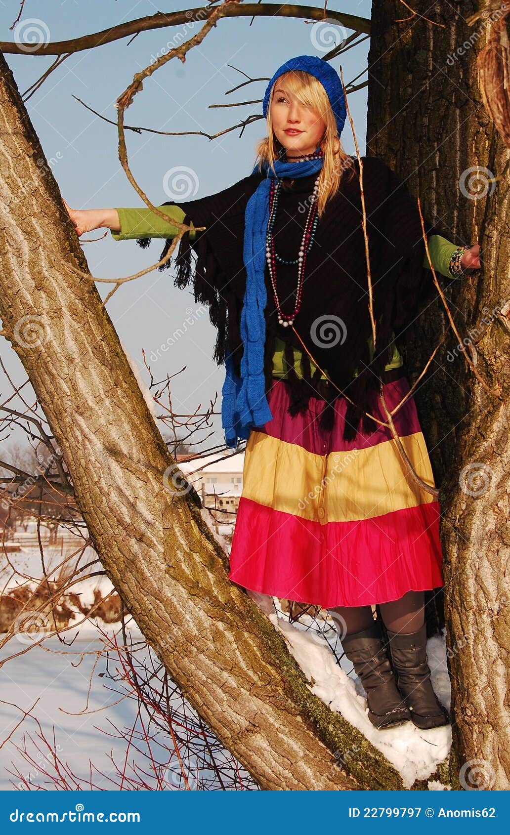 Fashion tree stock image. Image of color, clothes, blond - 22799797