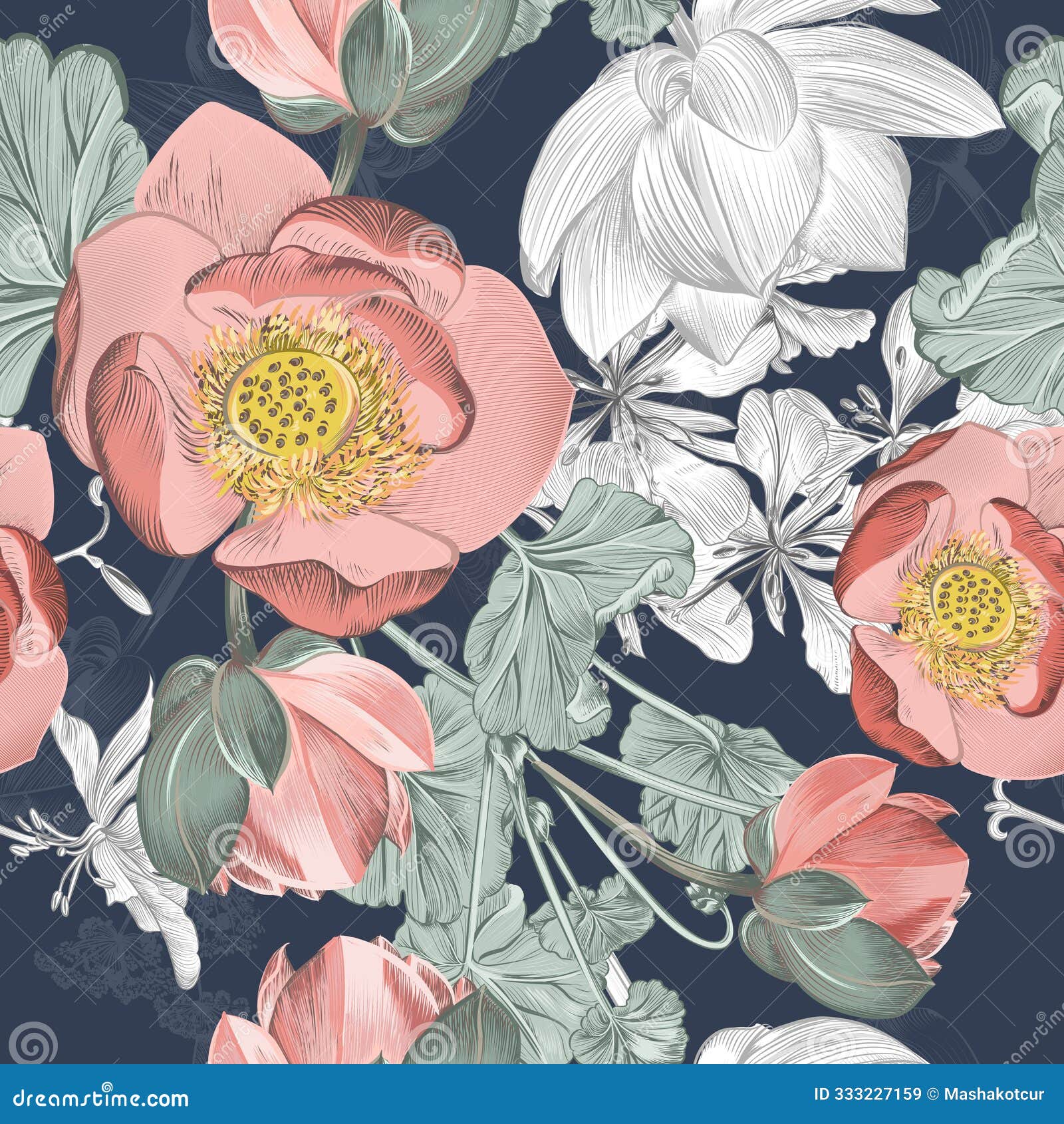 Lotus Flowers Isolated On White Background .lotus Flowers Hand Painted ...