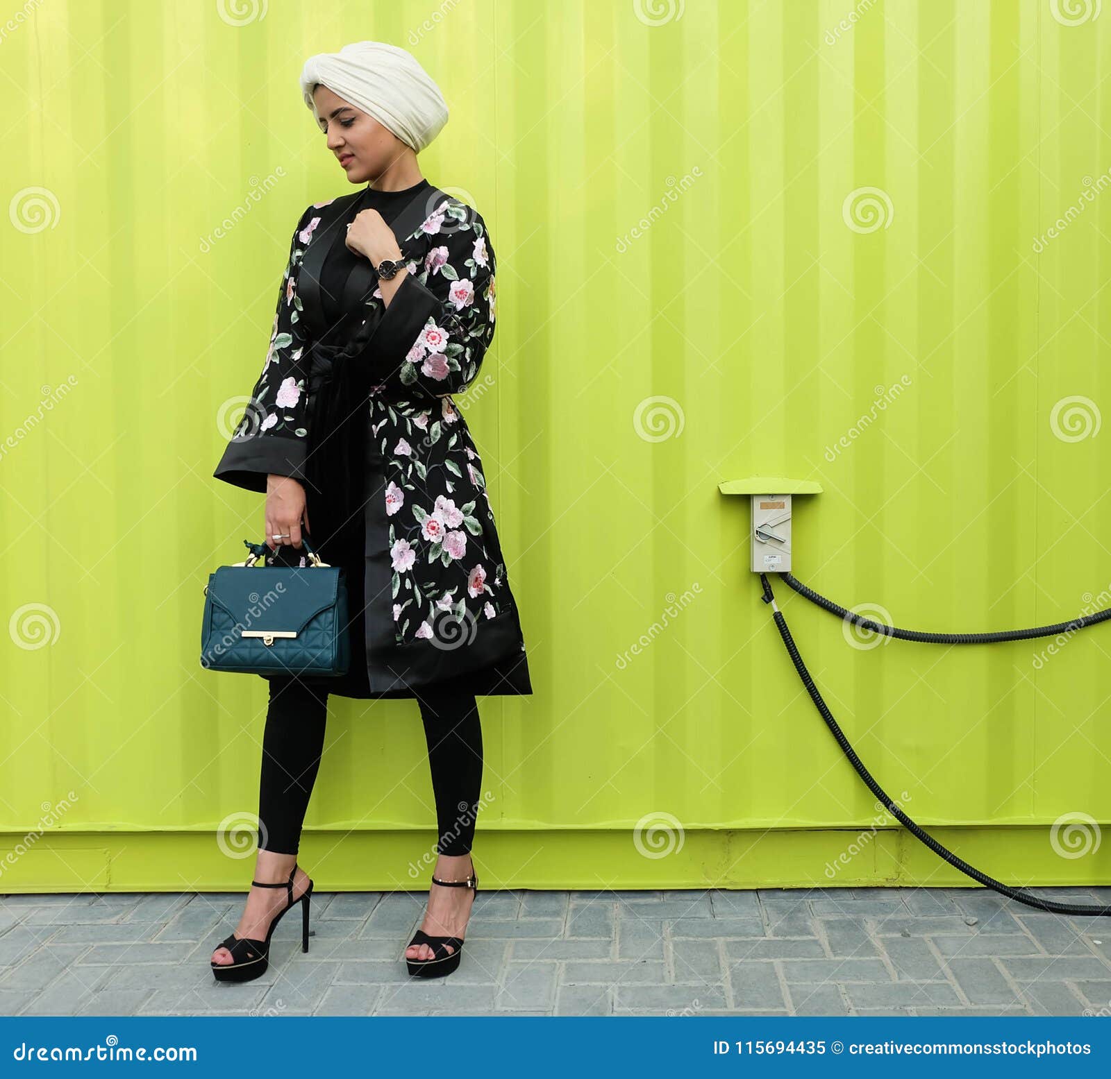 Fashionable Woman Picture. Image: 115694435