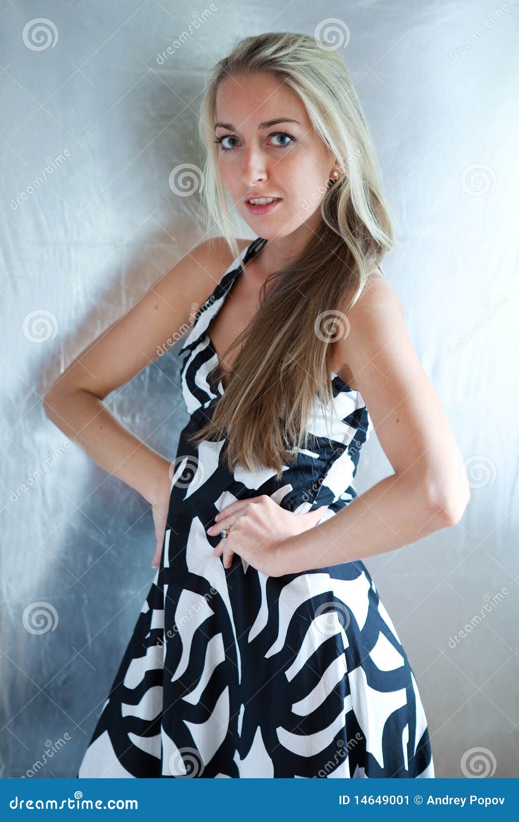 Fashionable young women stock image. Image of long, adult - 14649001