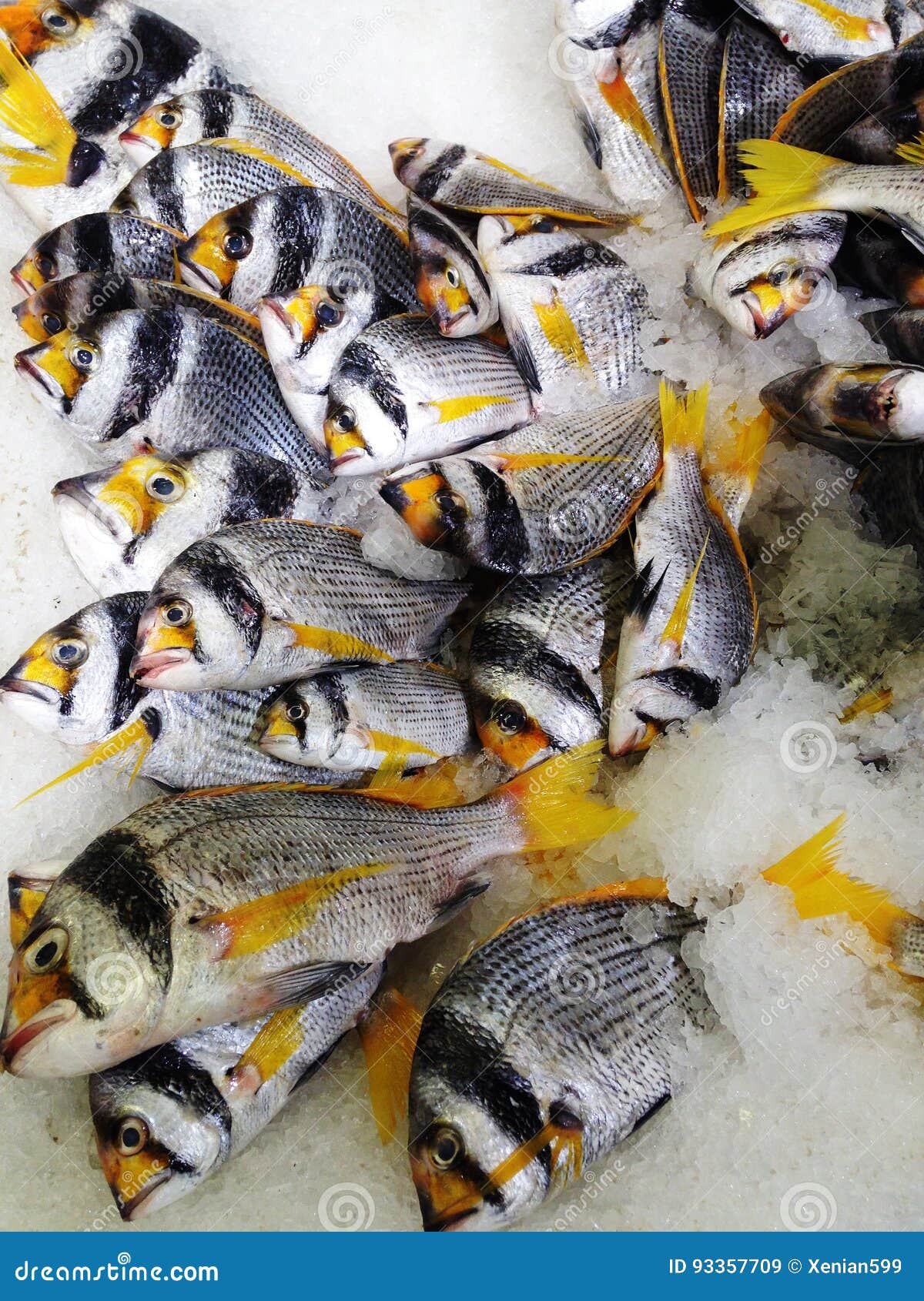 Faskar Stock Photos - Free & Royalty-Free Stock Photos from Dreamstime