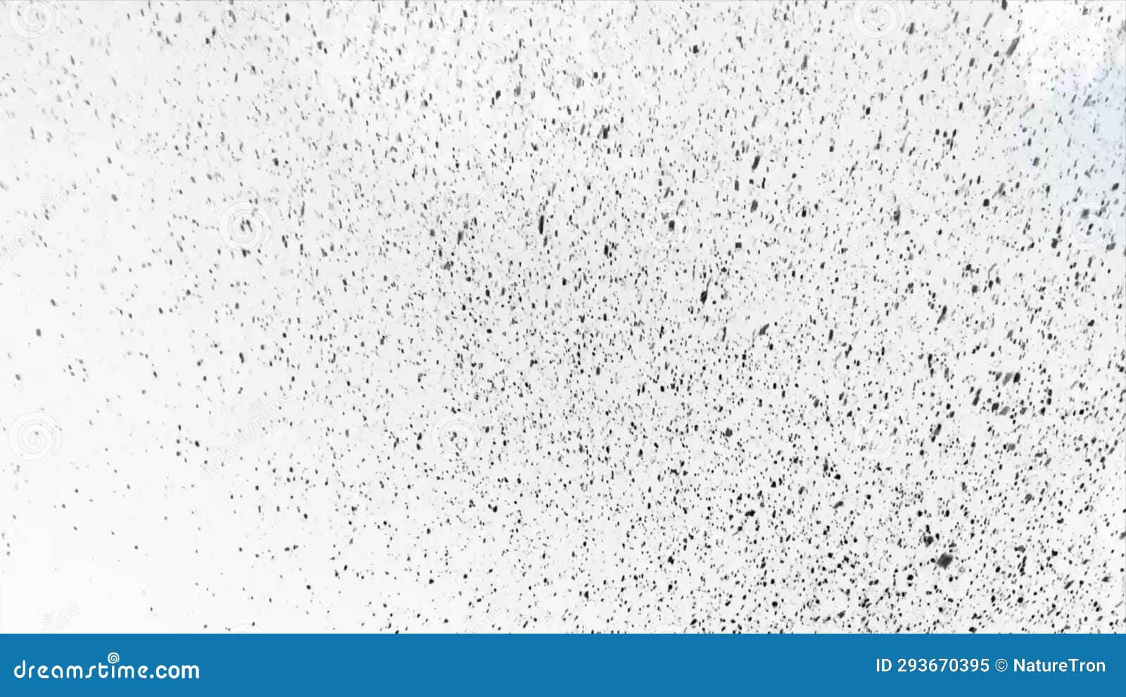 Fast Ascending Millions of Tiny Particles of Dark Dust on a White ...