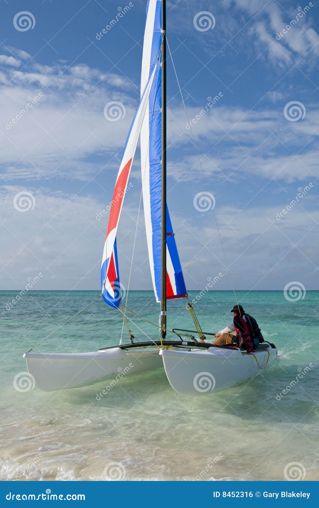 Fast Cat stock photo. Image of remote, hull, sail, cuban - 8452316