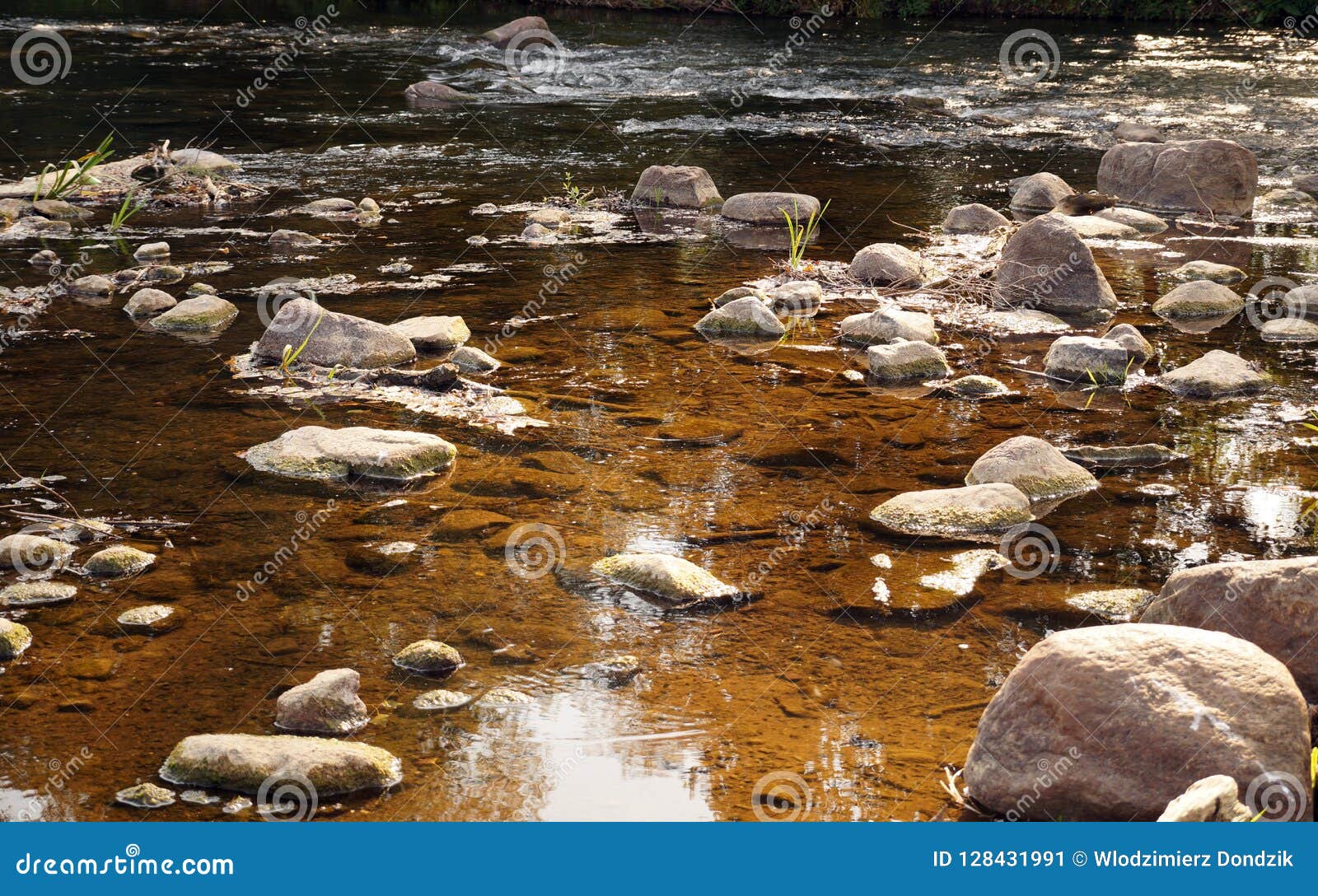 Fast Current in the Stony Riverbed. Clean Natural River. Stock Image ...