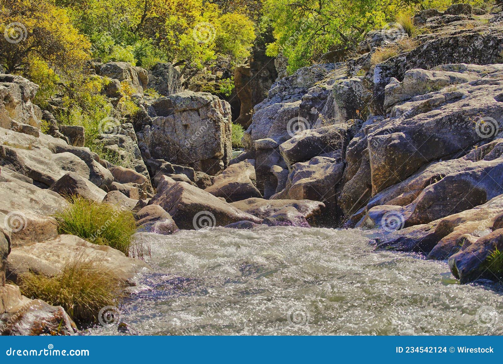 Fast Flow River in the Autumn Autumn Stock Photo - Image of landscape ...