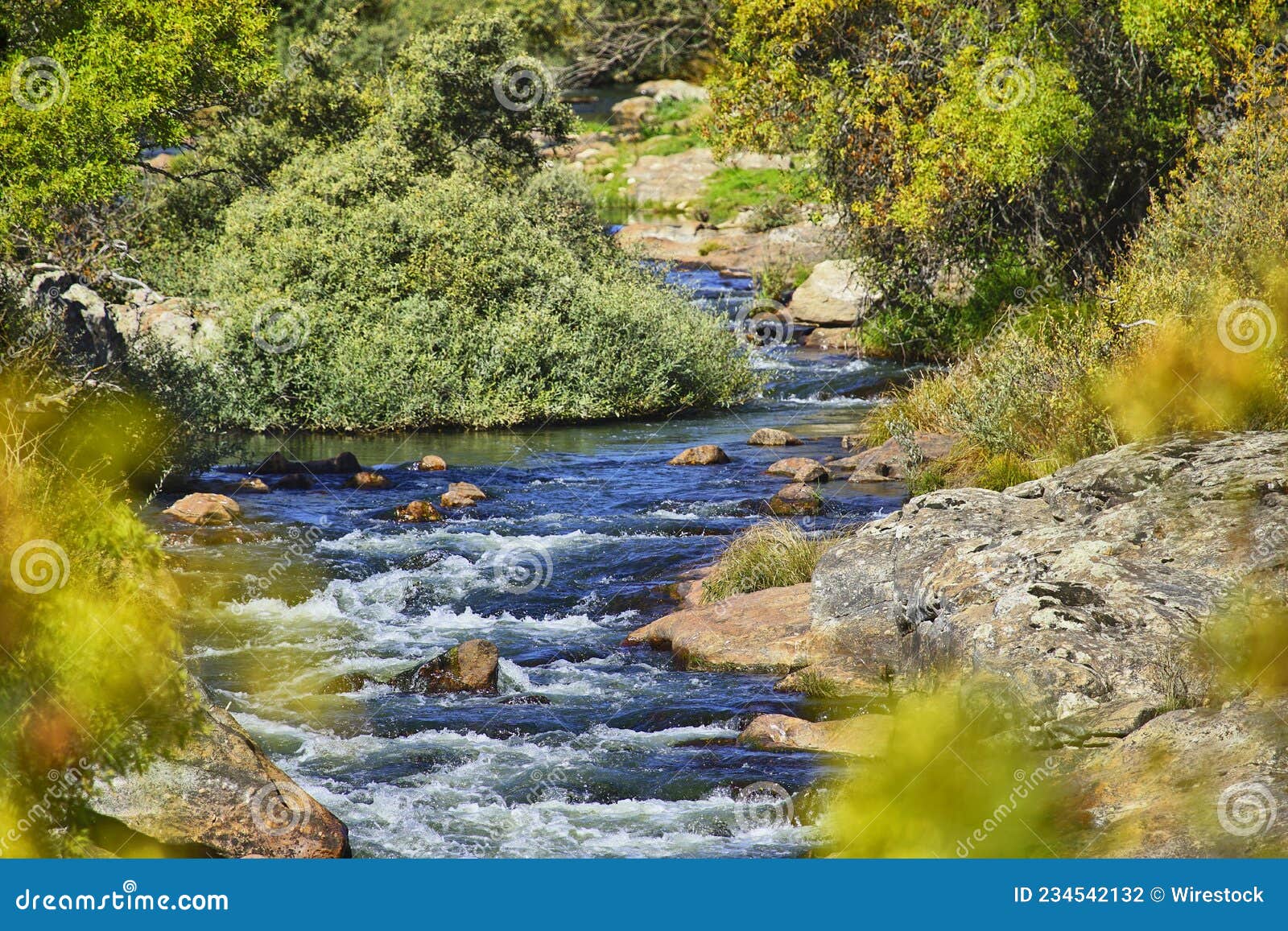 Fast Flow River in the Autumn Autumn Stock Photo - Image of nature ...