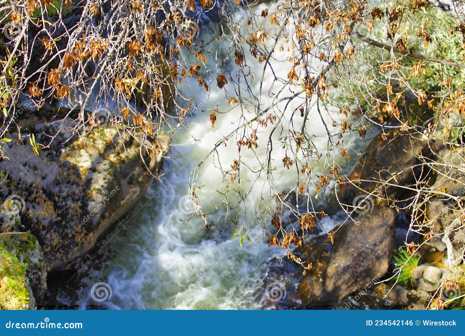 Flow Of River With Green Trees With Text Just Go With The Flow Royalty ...