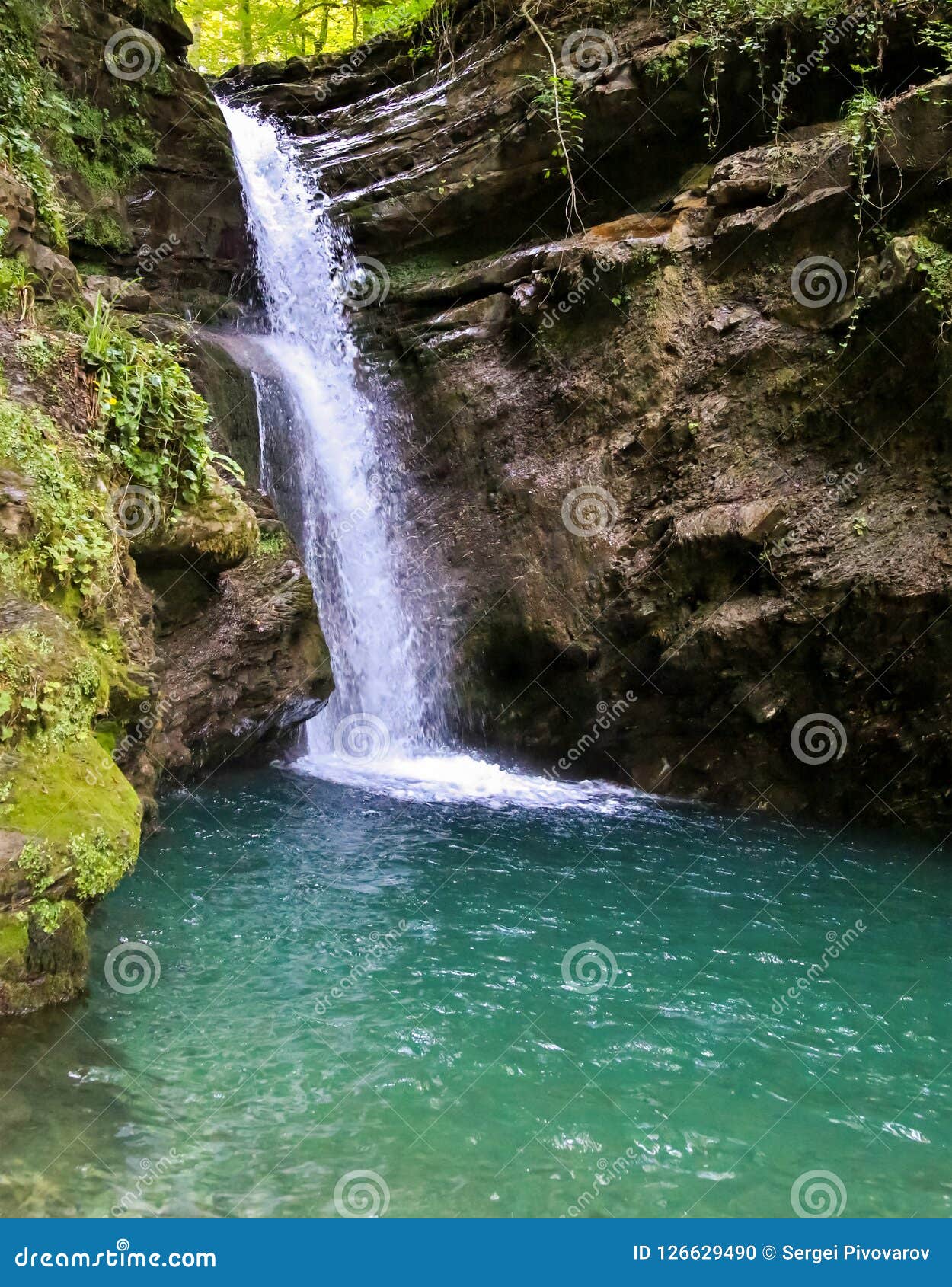 Fast Flow of Water a Forest Waterfall Flows into Azure Calm Water ...