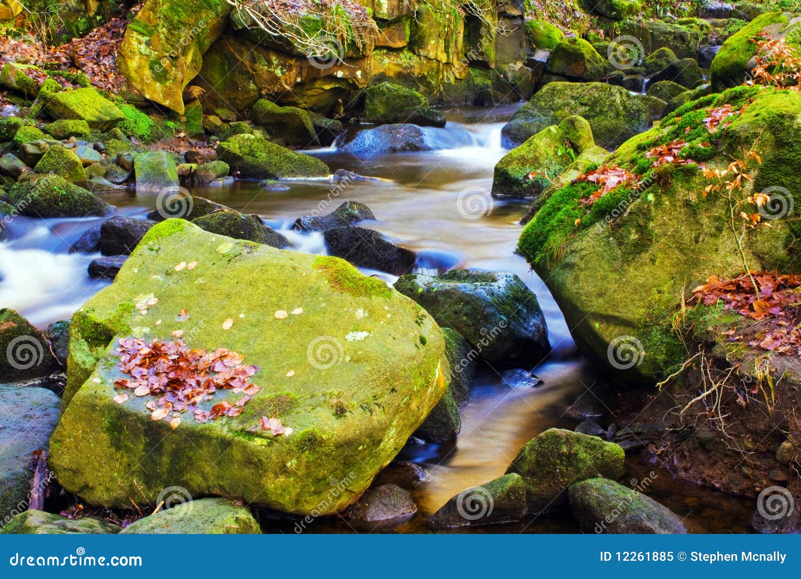 Fast flowing brook stock image. Image of clean, green - 12261885 Fast flowing brook stock image. Image of clean, green - 12261885