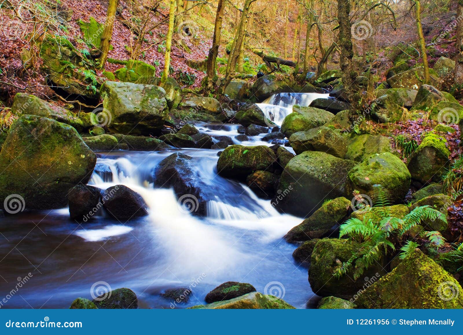 Fast flowing brook stock photo. Image of fast, beauty - 12261956 Fast flowing brook stock photo. Image of fast, beauty - 12261956