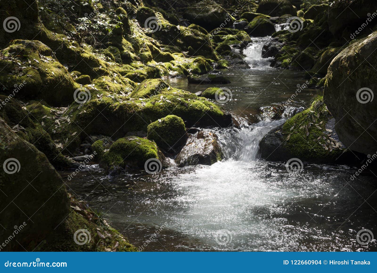 Fast flowing brook stock photo. Image of sight, rural - 122660904 Fast flowing brook stock photo. Image of sight, rural - 122660904