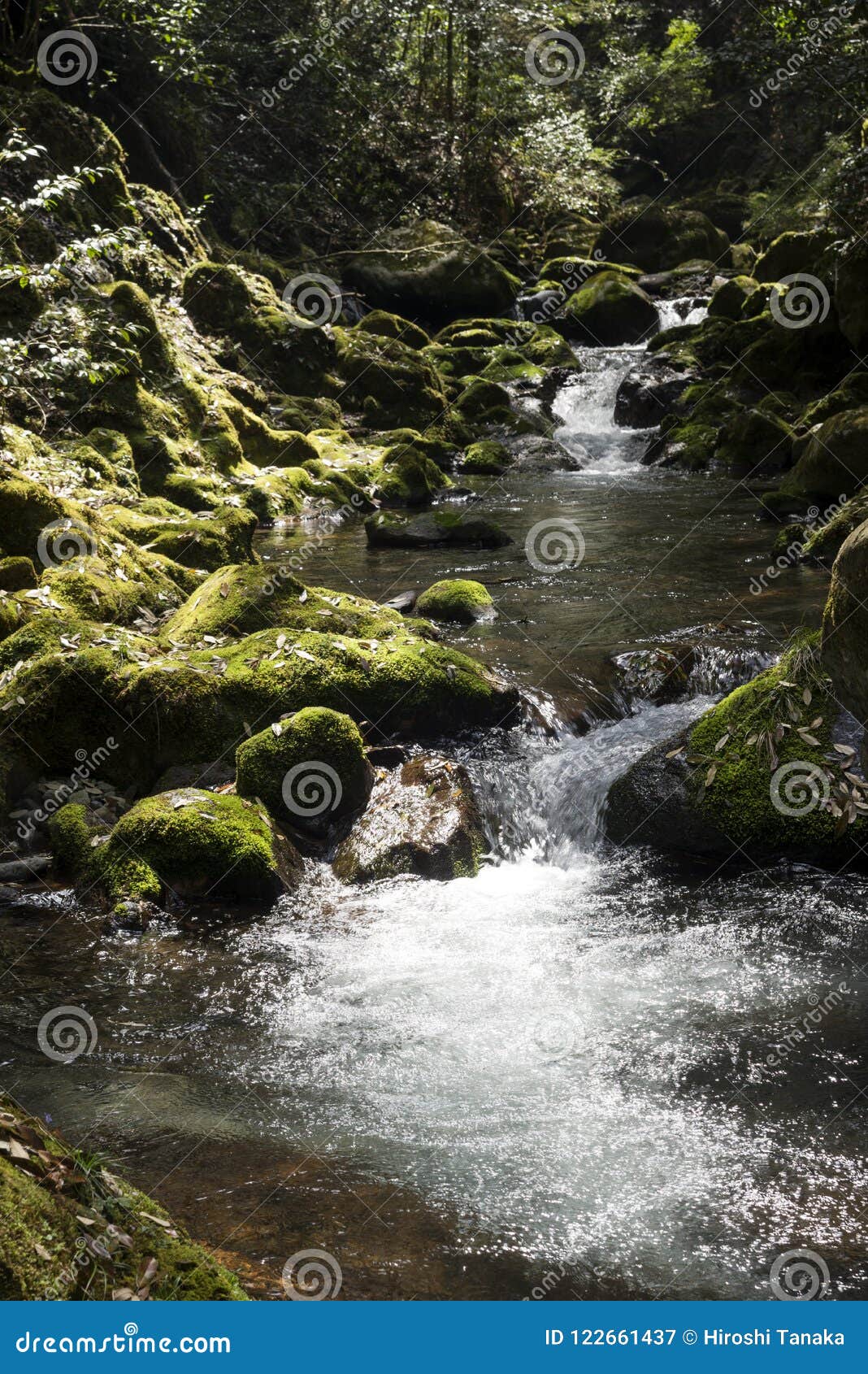 Fast flowing brook stock image. Image of scape, sight - 122661437