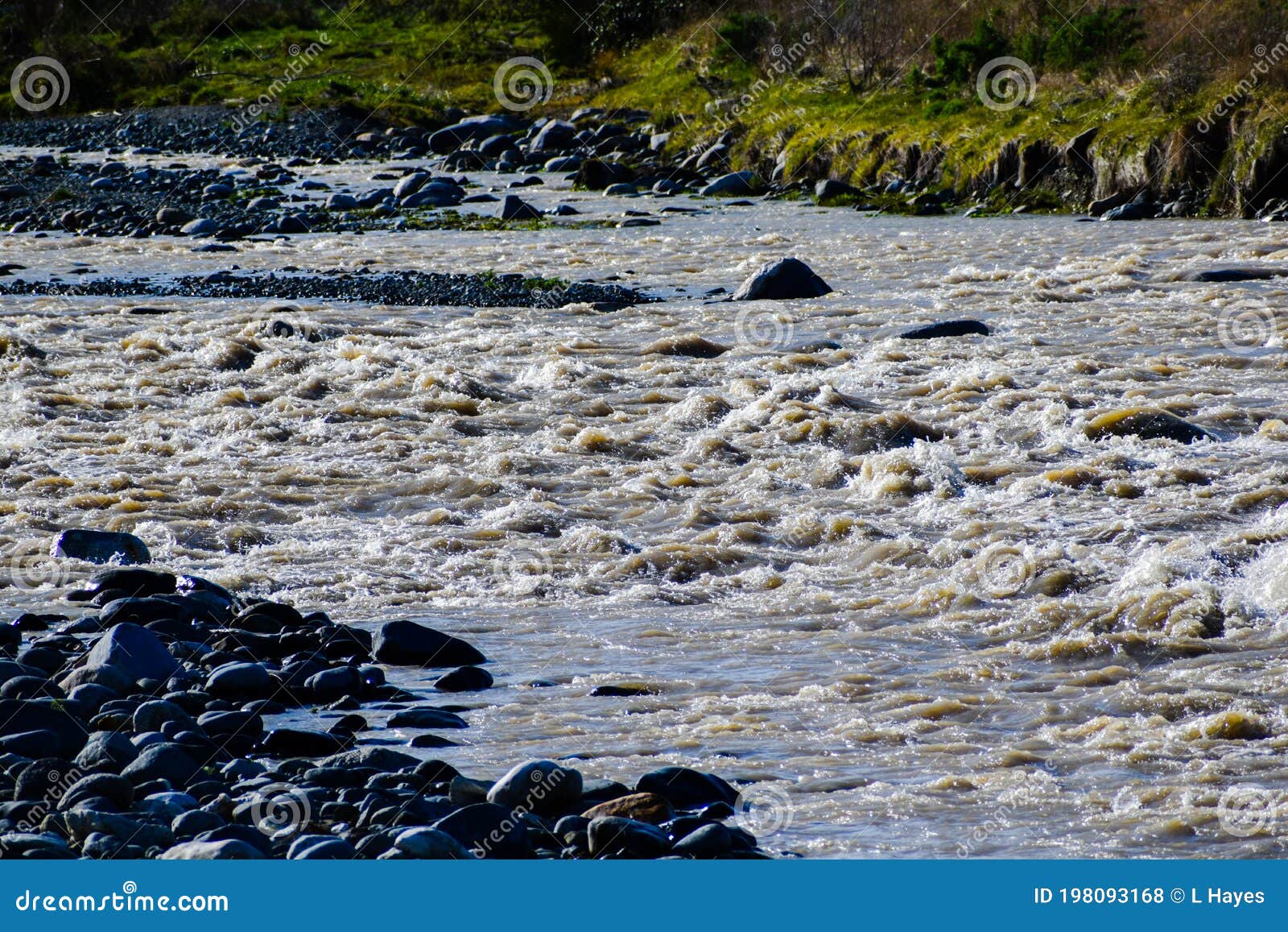 Fast flowing flooded river stock photo. Image of flowing - 198093168