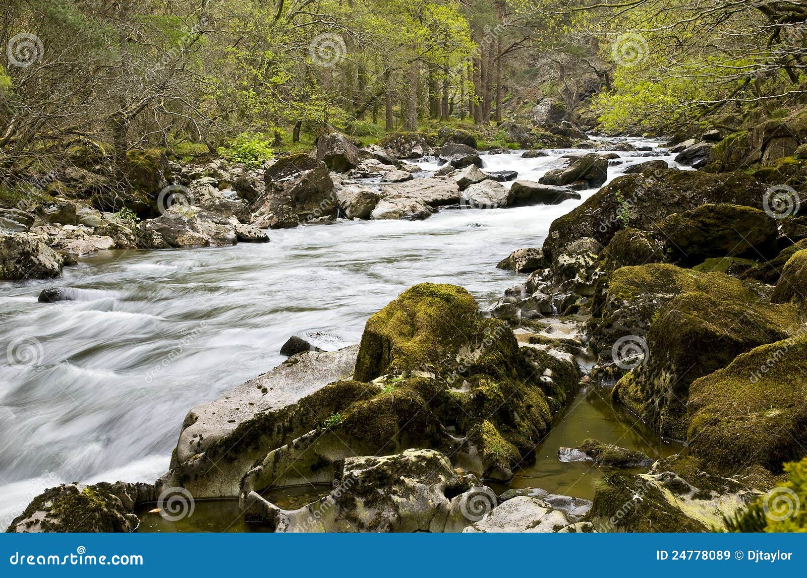 Fast Flowing River in Spring Stock Image - Image of tree, recreation ...
