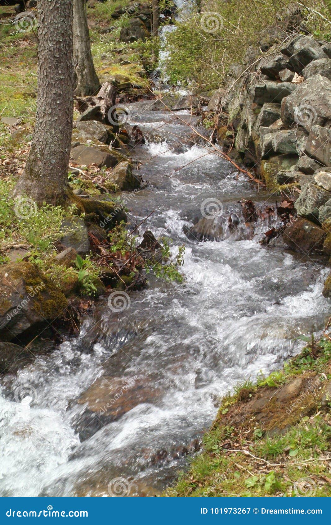 Fast Flowing Stream stock image. Image of mountain, stream - 101973267