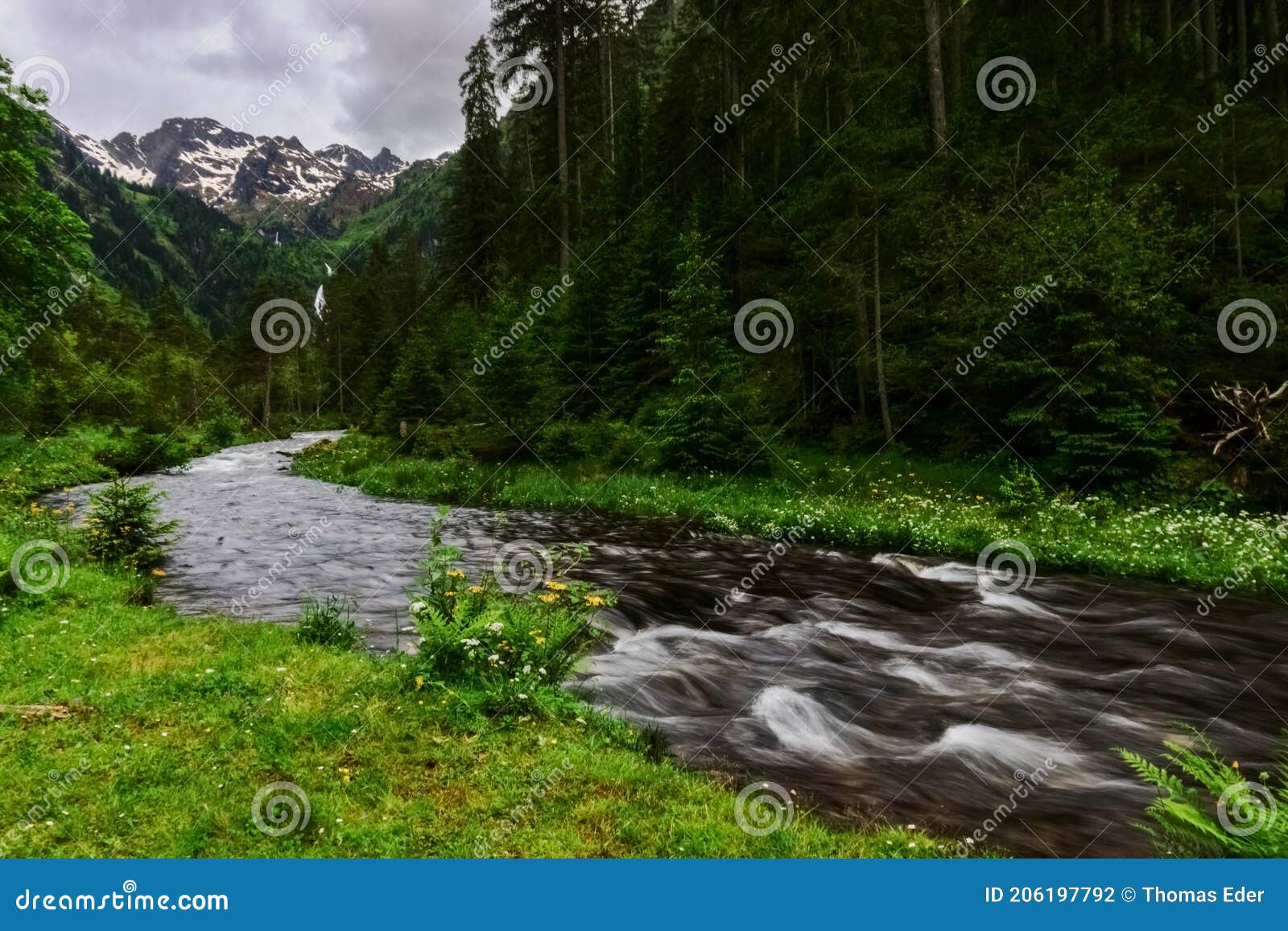 Fast Flowing Torrent in a Nature Reserve with Forest and Mountains ...