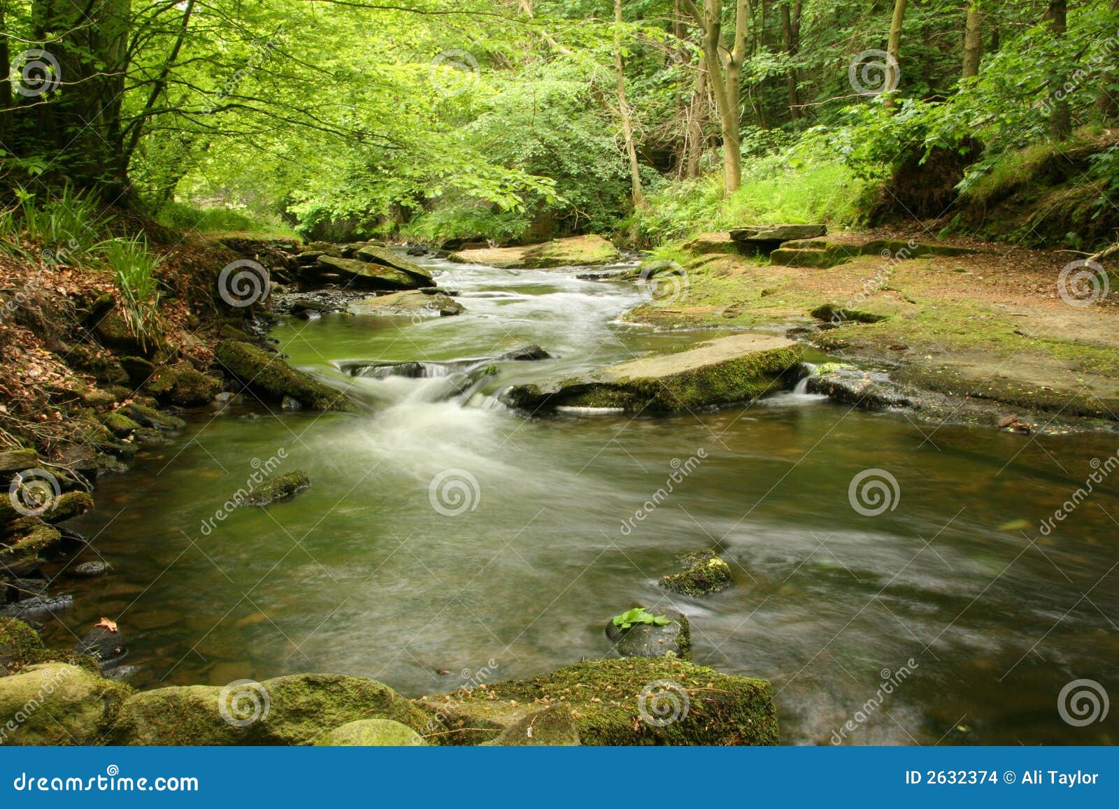 Fast flowing water stock photo. Image of leaf, fast, rock - 2632374