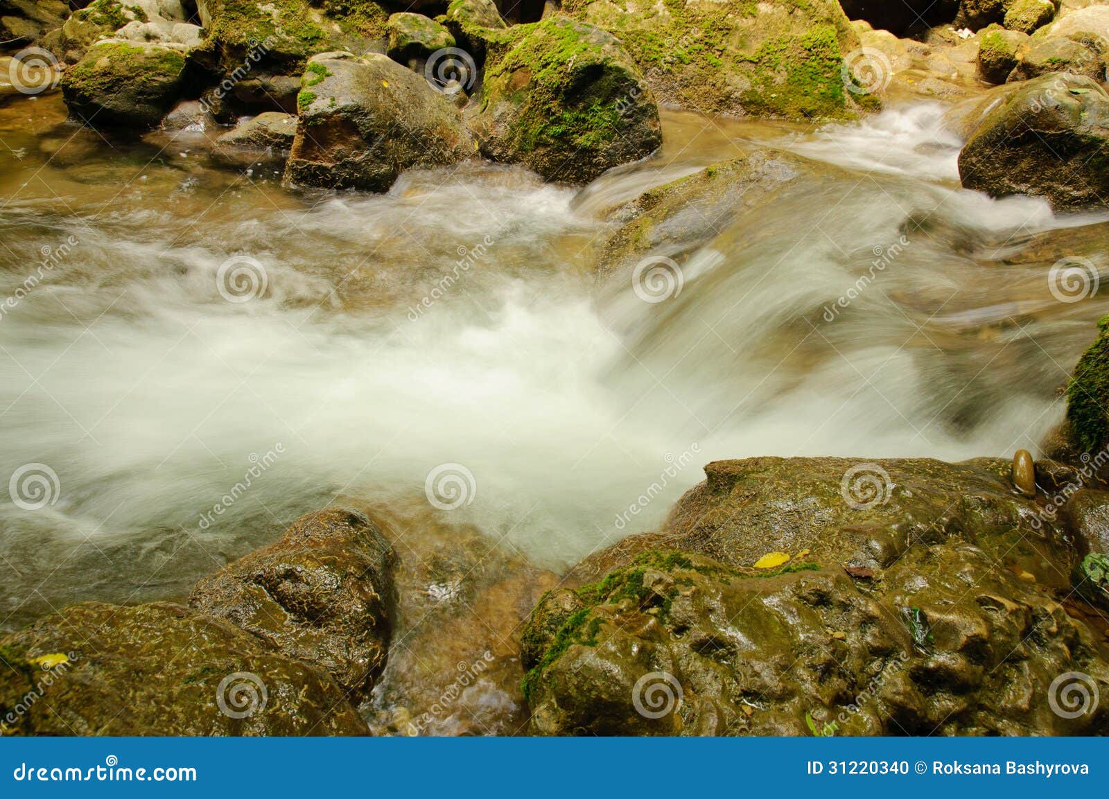 Fast flowing water stock photo. Image of nature, freshness - 31220340