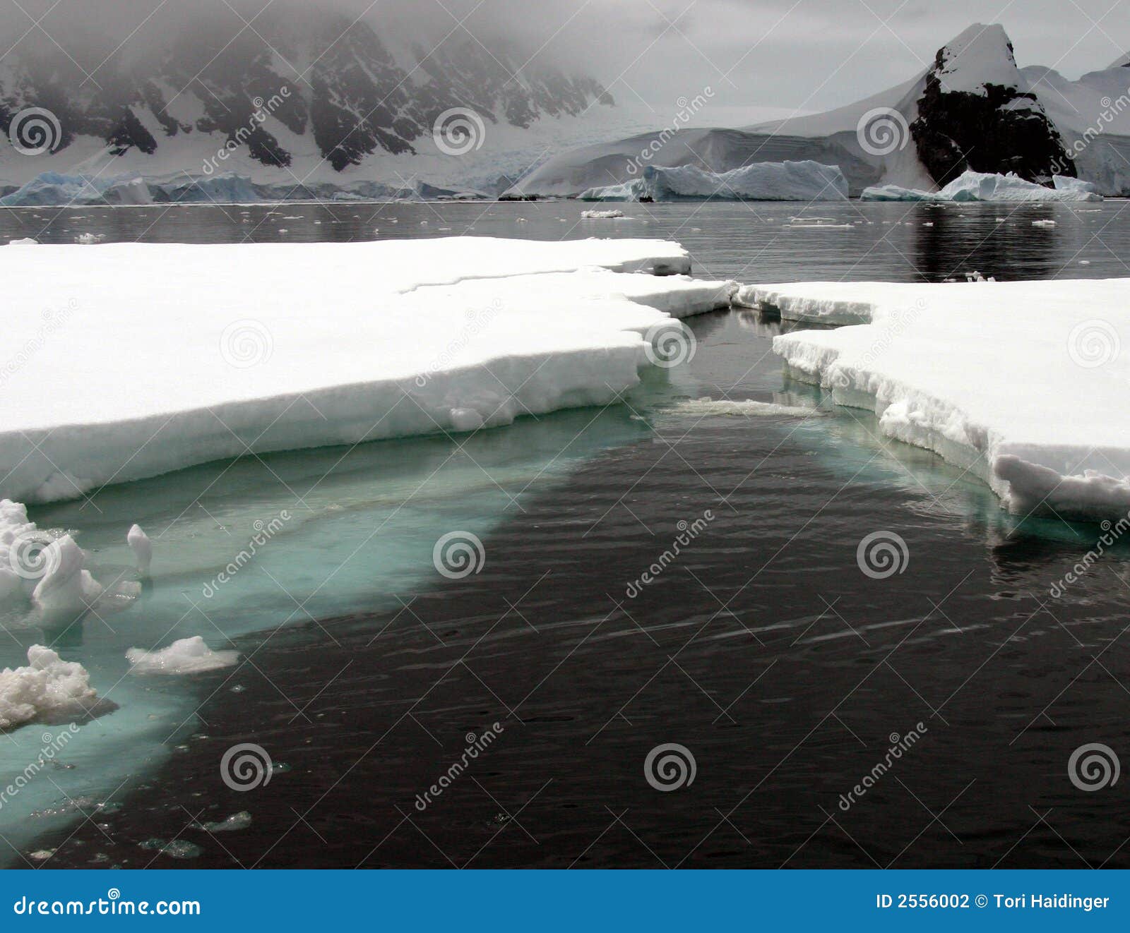 Fast ice flow stock photo. Image of ocean, penguins, travel - 2556002