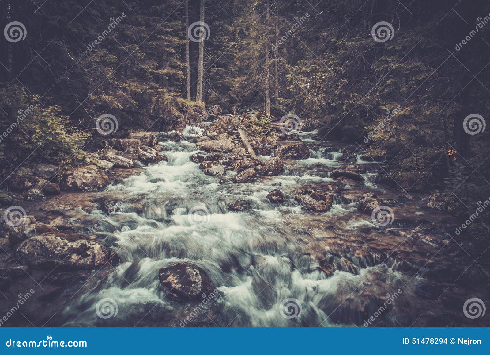 Fast mountain river stock photo. Image of forest, natural - 51478294