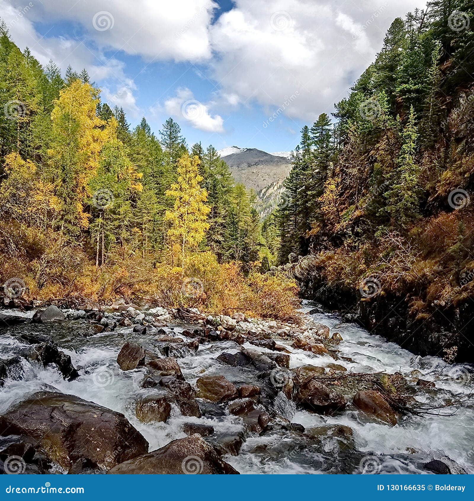 Fast Mountain River. Waterfall. Headwaters Mountain River. Stock Image ...