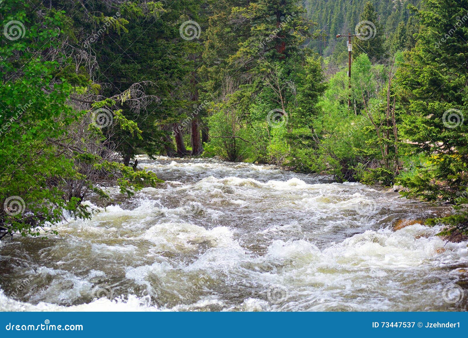 Fast Moving High River Water with Trees Stock Image - Image of nature ...