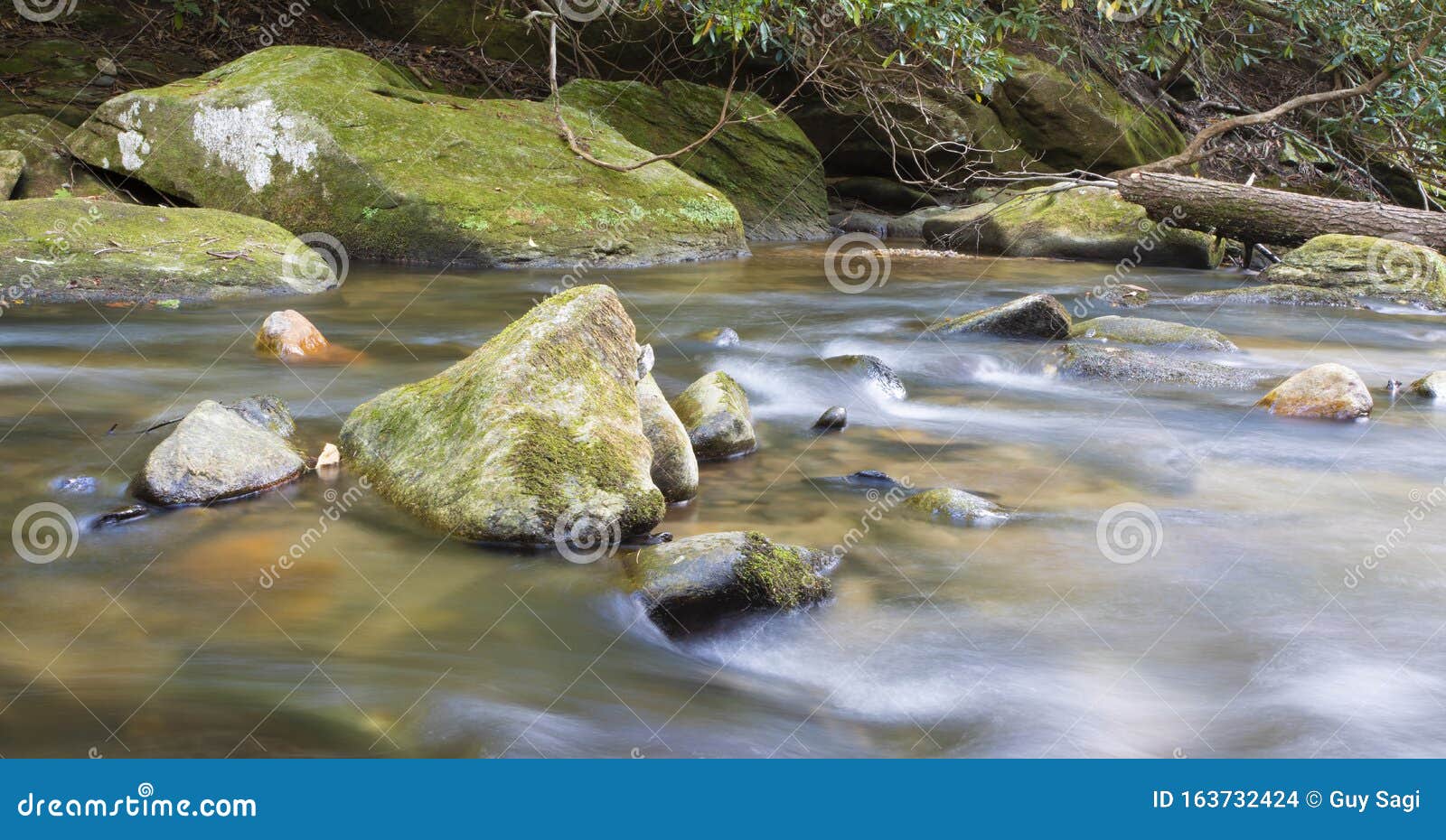 Fast moving stream stock photo. Image of carolina, grey - 163732424