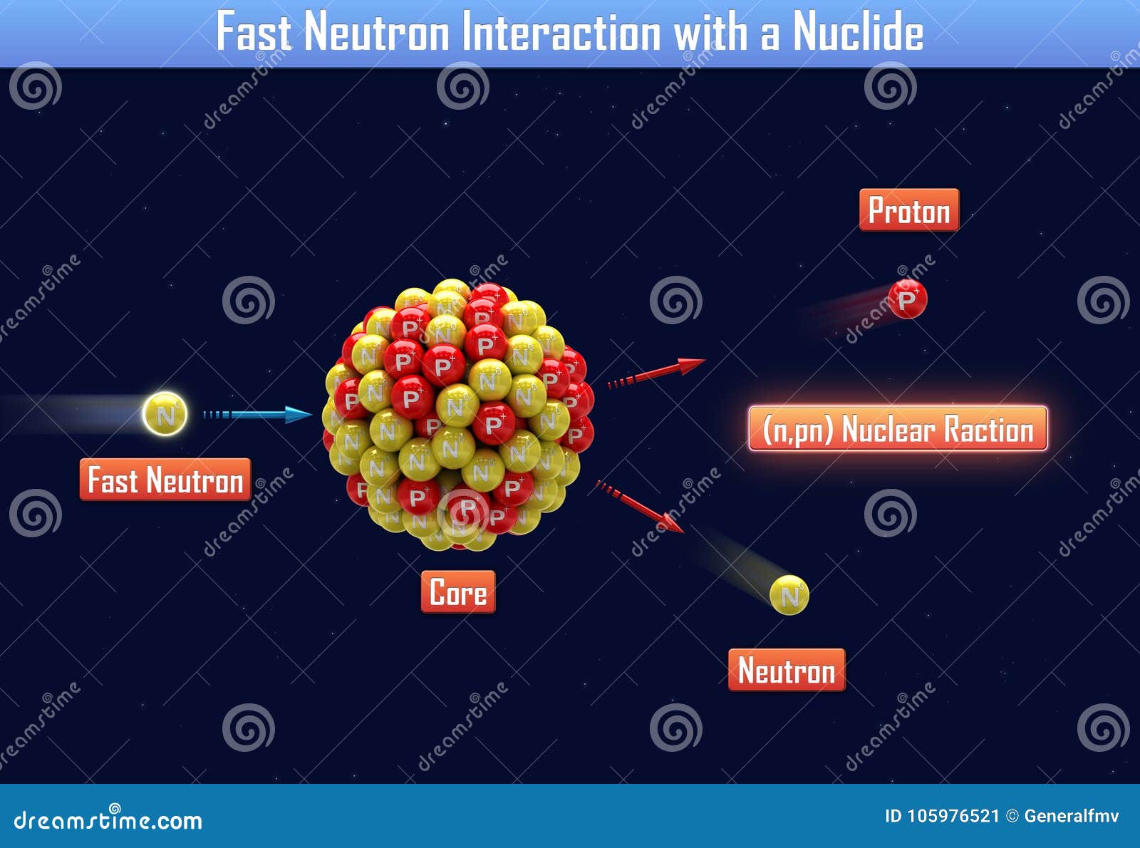 Fast Neutron Interaction with a Nuclide Stock Illustration ...