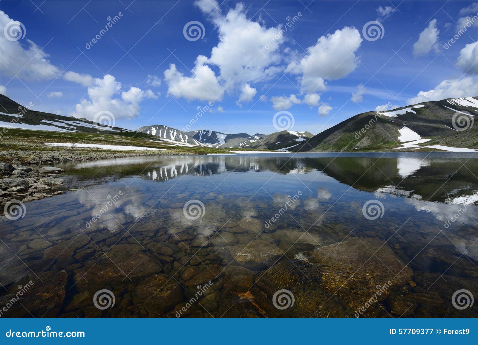 Fast-polares Ural, See Patok Stockbild - Bild von teich, unterwasser ...