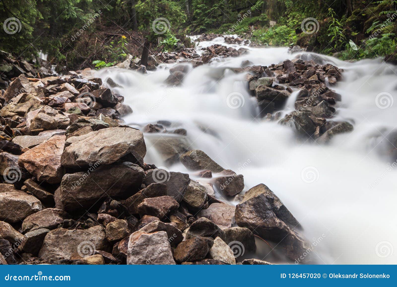Fast and Rapid Mountain Stream Current after Rain Stock Photo - Image ...