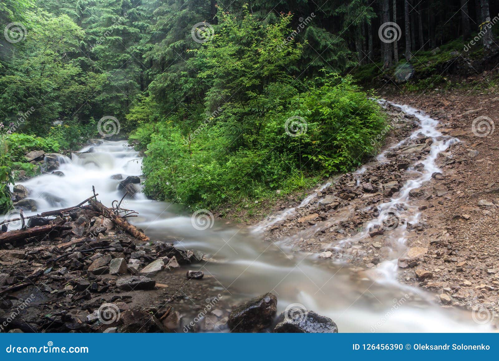 Fast and Rapid Mountain Stream Current after Rain Stock Photo - Image ...