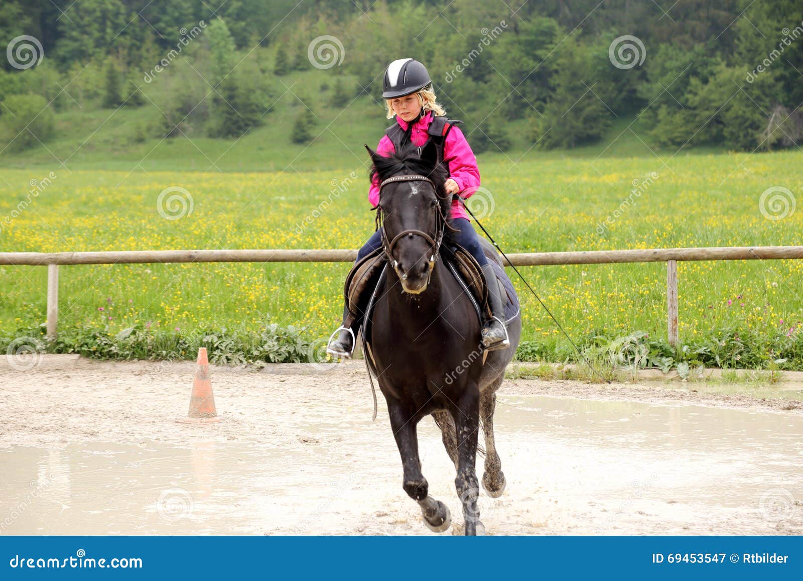 Fast riding stock image. Image of freedom, female, horseback - 69453547