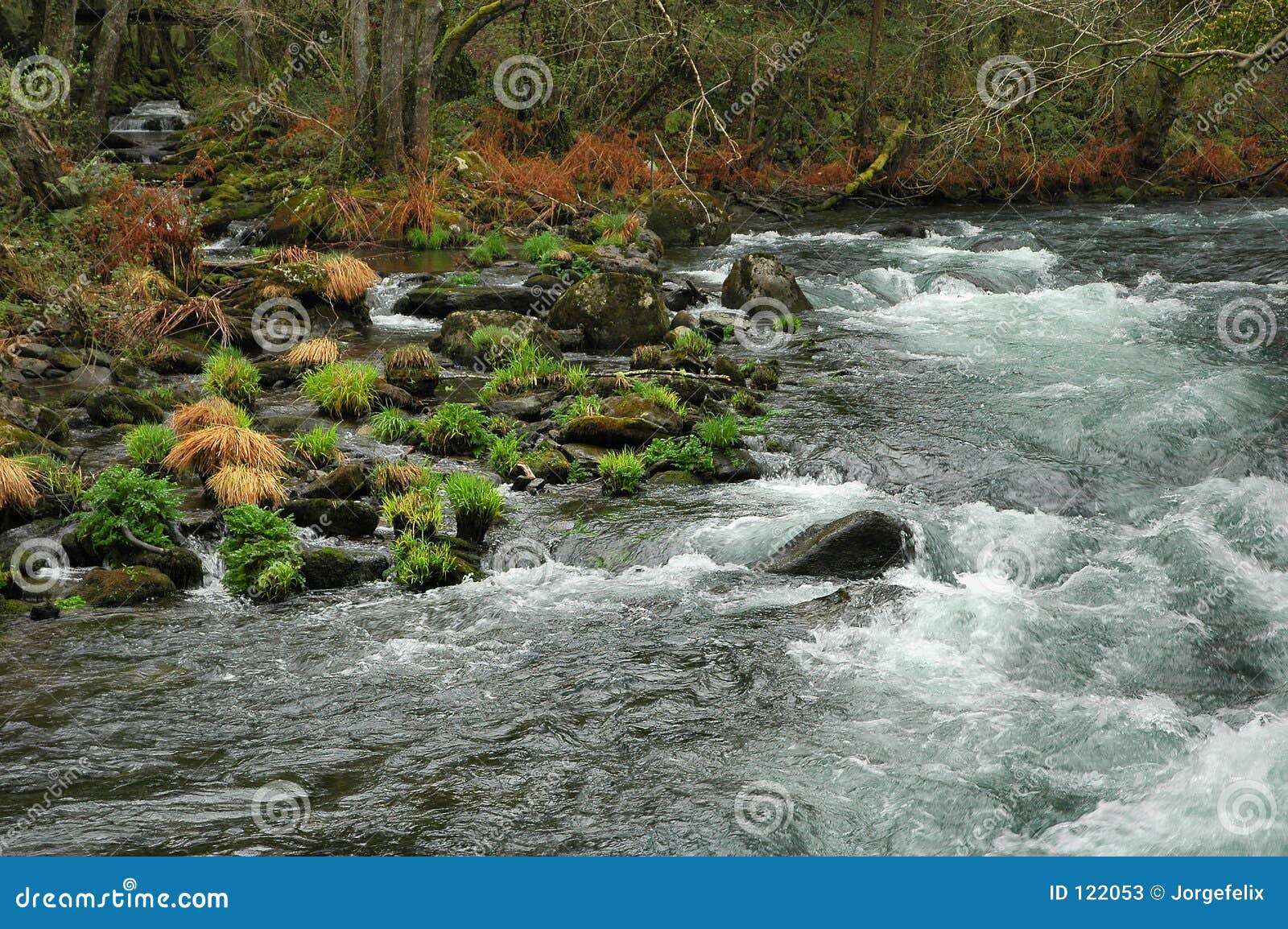 Fast River stock image. Image of fast, reserve, rock, mountain - 122053